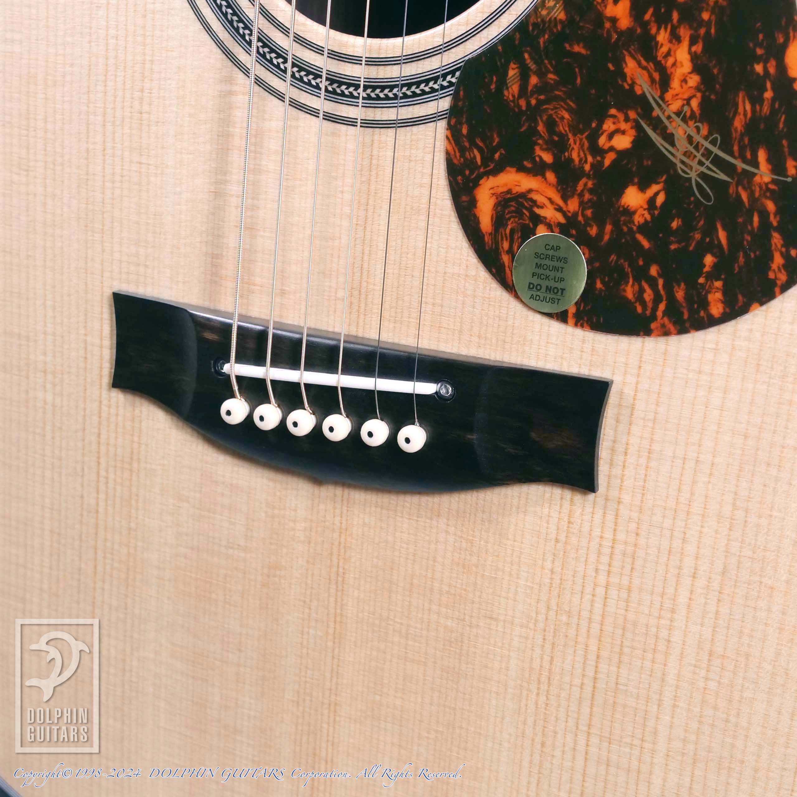 MATON ER90 Traditional - ドルフィンギターズ