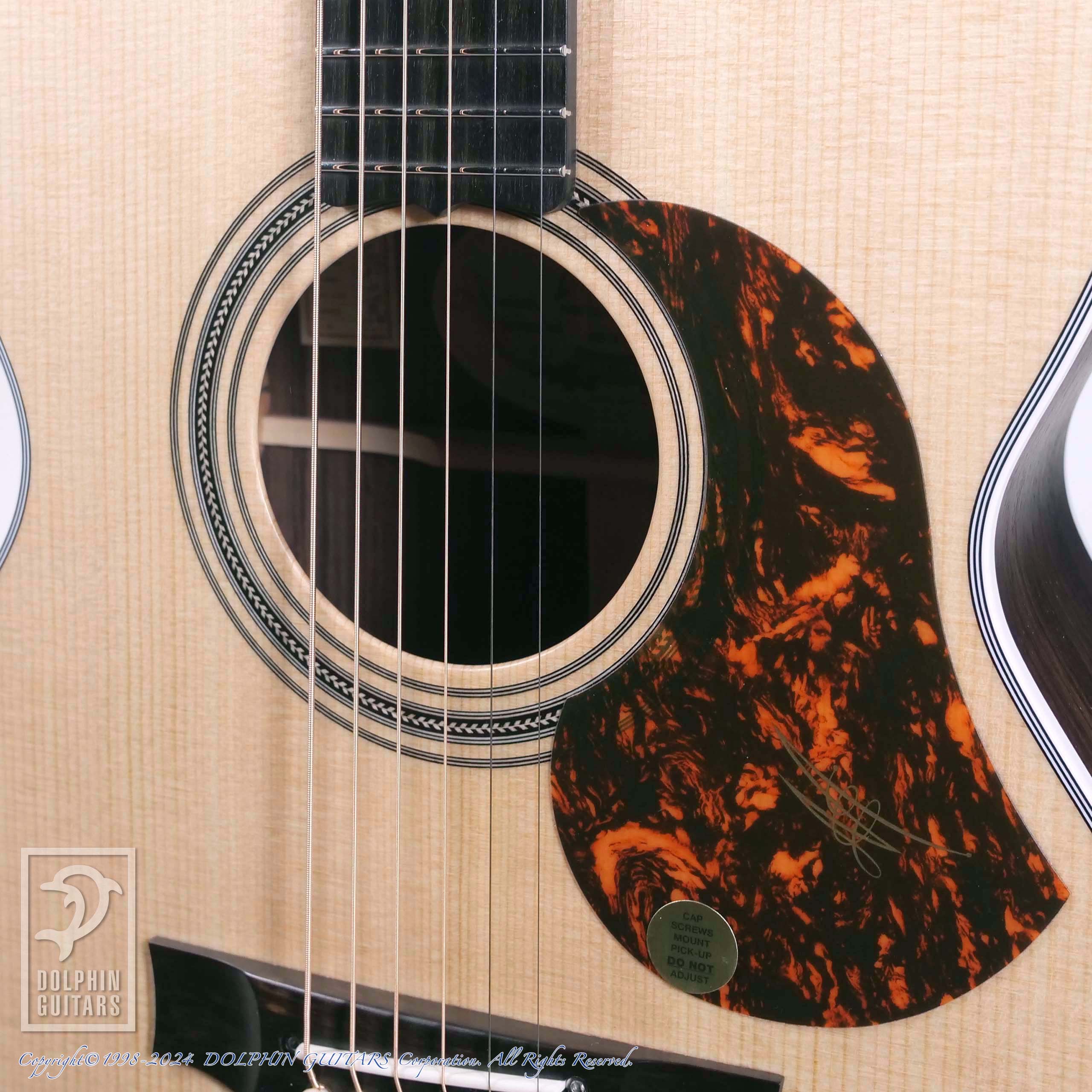 MATON ER90 Traditional - ドルフィンギターズ