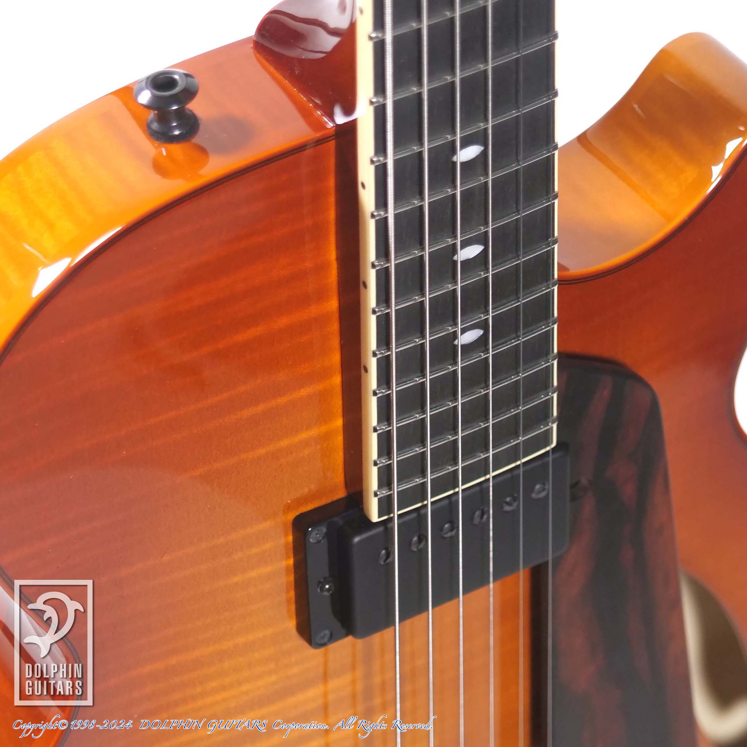 SADOWSKY SS-15 (VLB) - ドルフィンギターズ