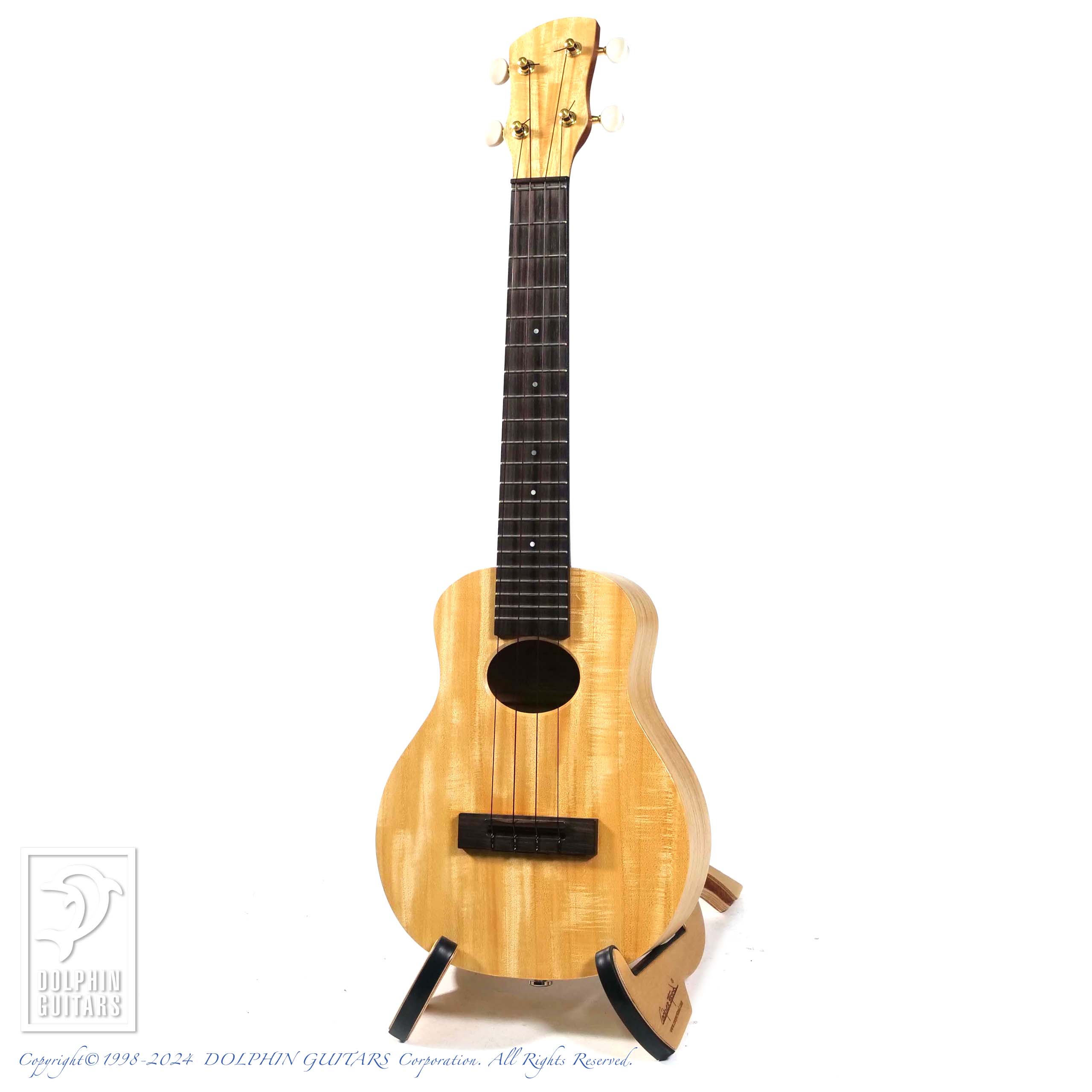 KIGE WORK SHOP Concert 16 (Prima vera) - ドルフィンギターズ