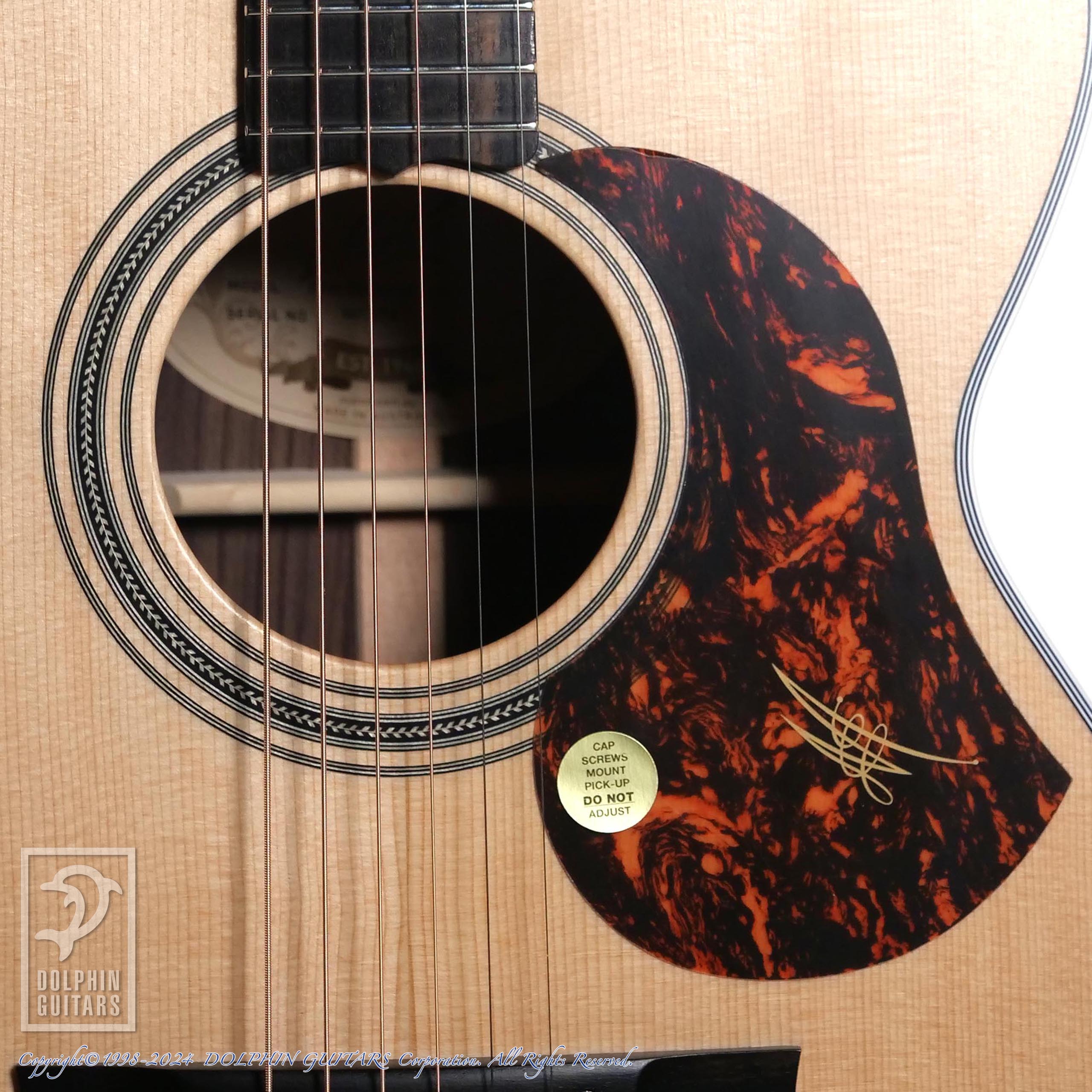 MATON ER90 Traditional - ドルフィンギターズ