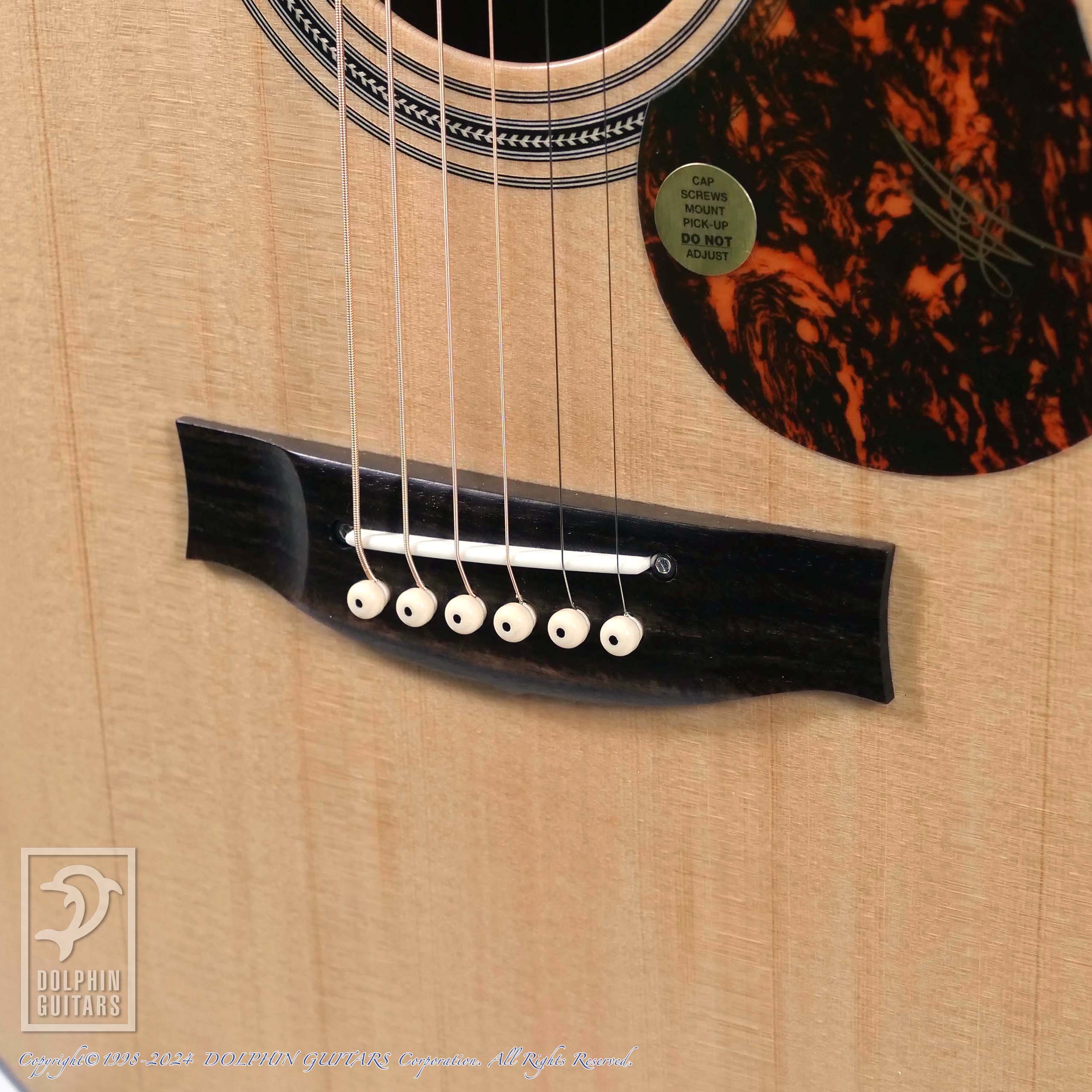 MATON ER90 Traditional - ドルフィンギターズ