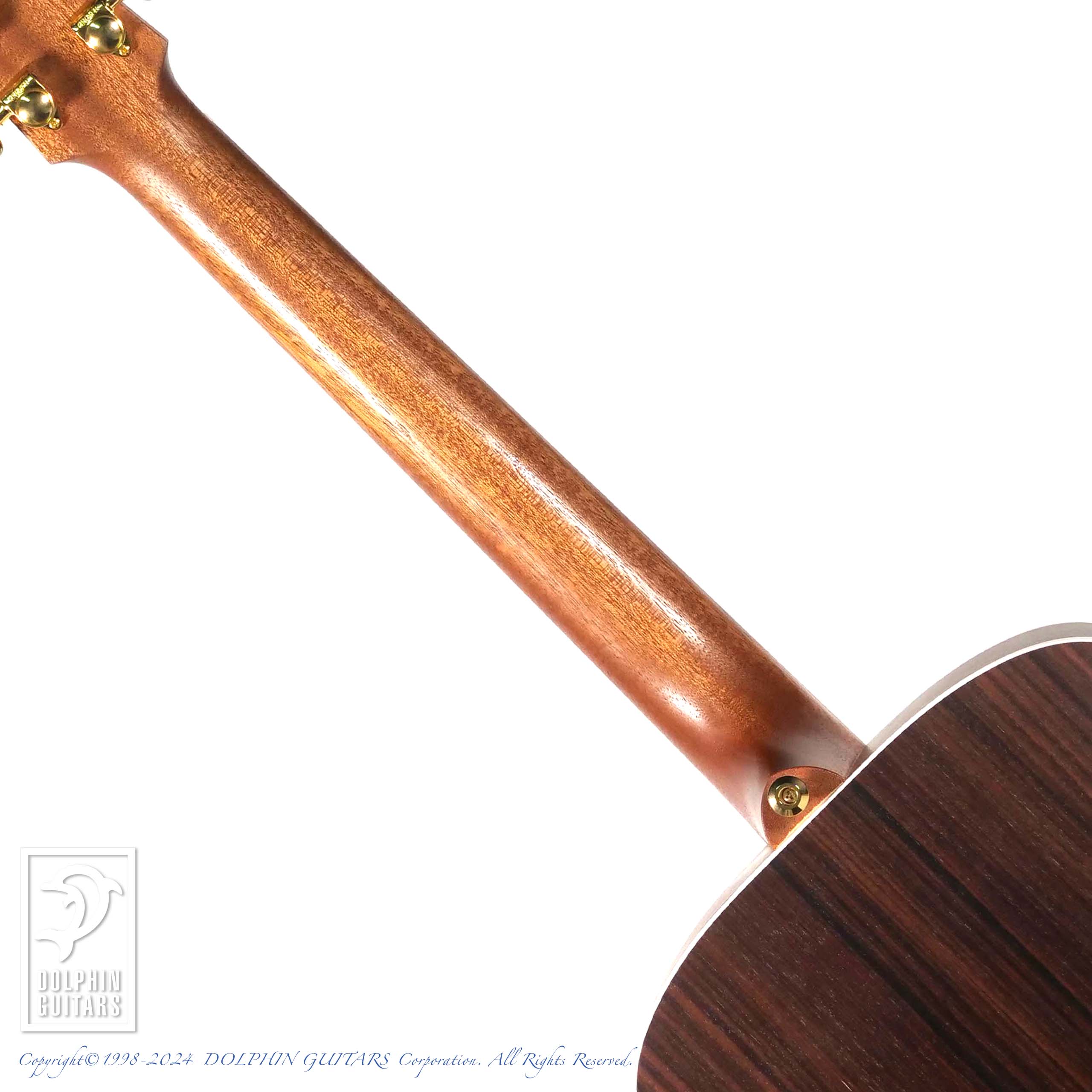 MATON ER90 Traditional - ドルフィンギターズ