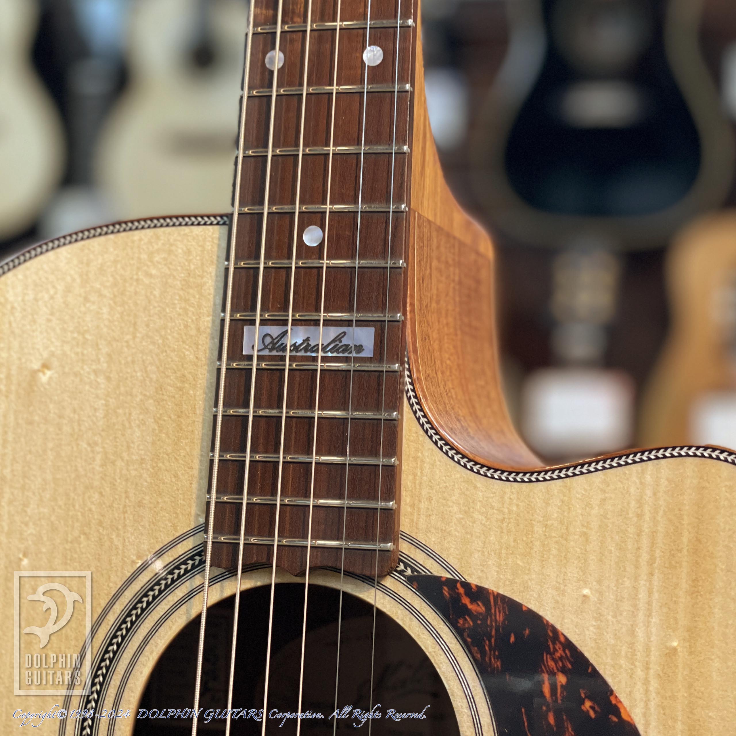 MATON EA80C - ドルフィンギターズ