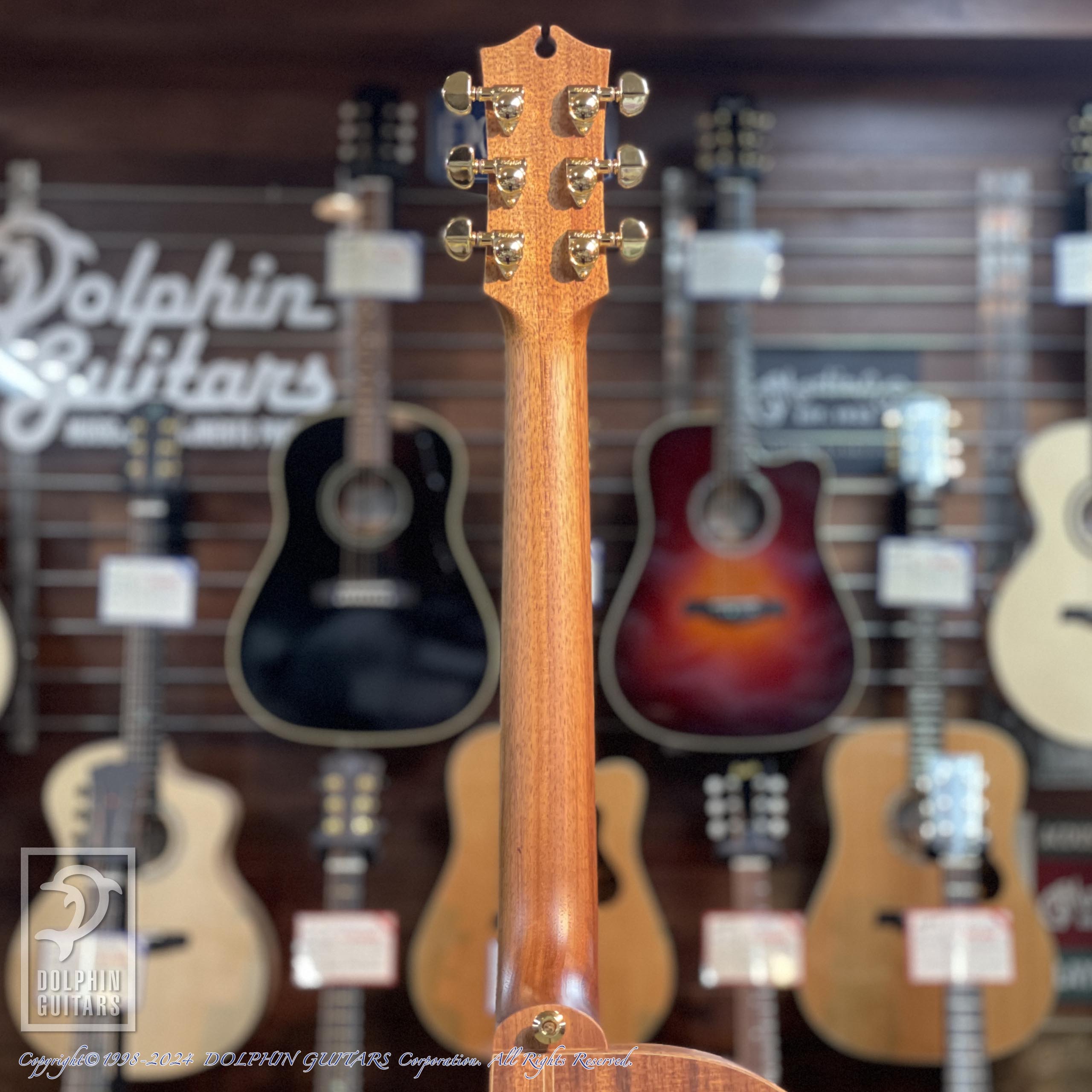 MATON EA80C - ドルフィンギターズ