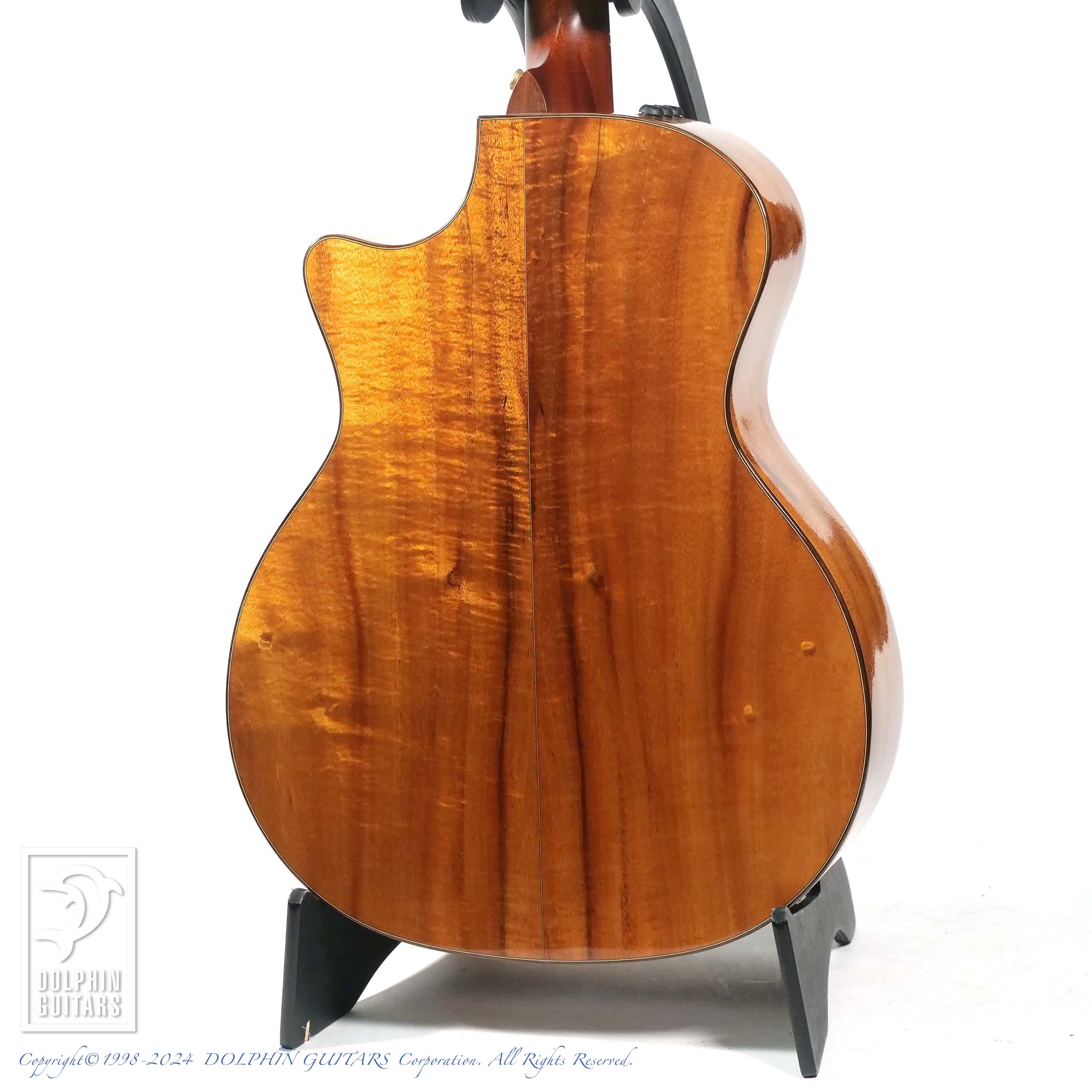 TAYLOR 514ce LTD Fall Limited Edition - ドルフィンギターズ