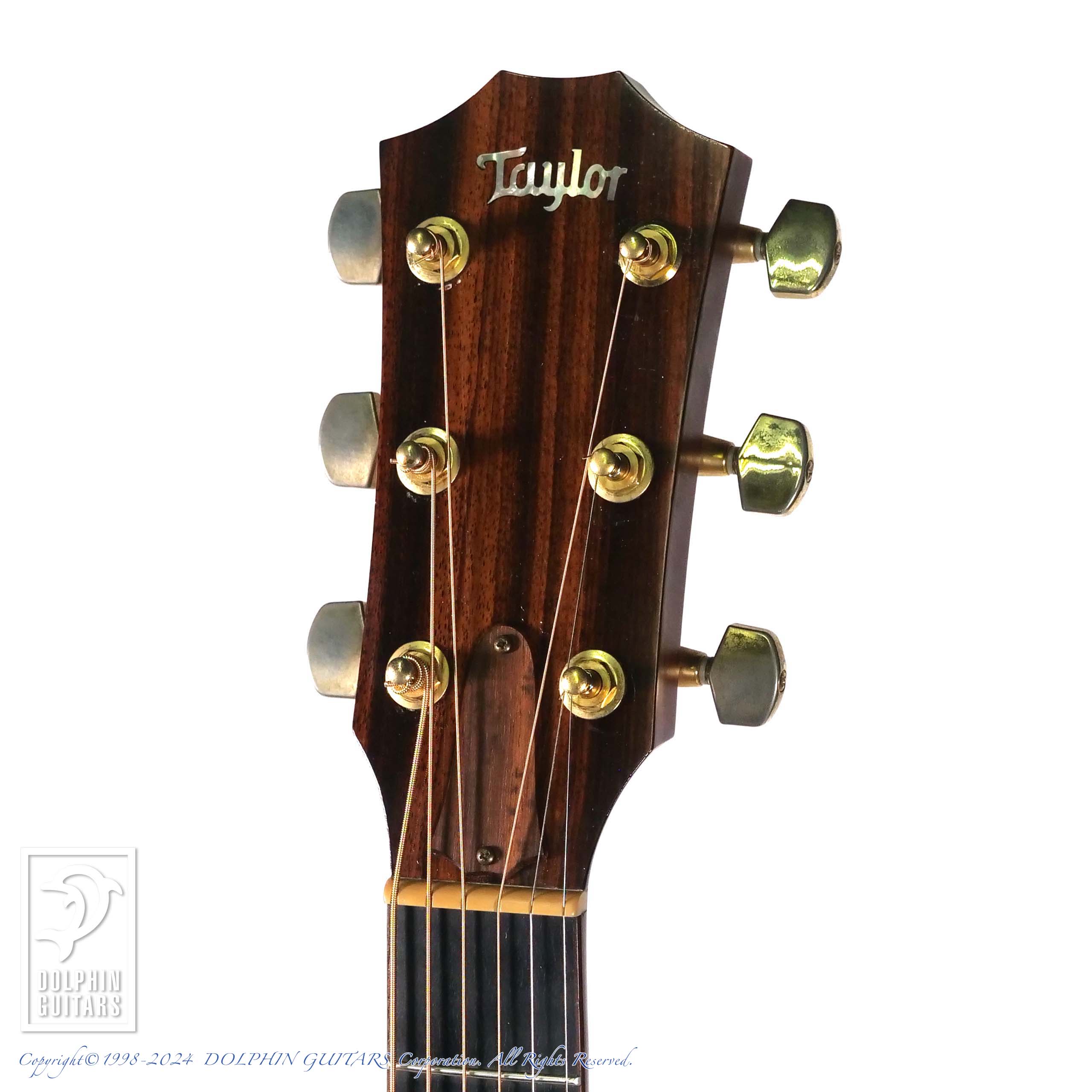 TAYLOR 514ce LTD Fall Limited Edition - ドルフィンギターズ