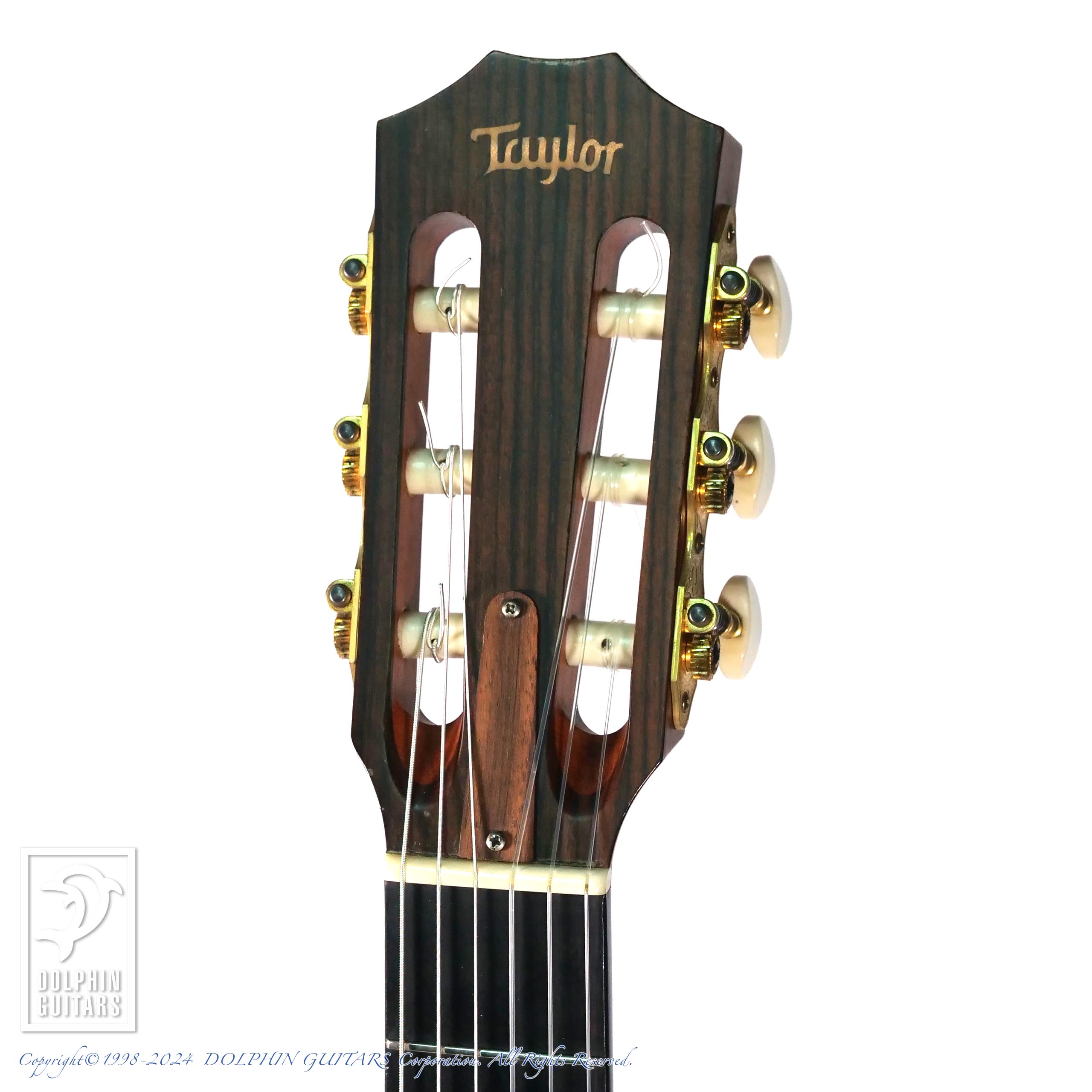 TAYLOR NS34ce - ドルフィンギターズ