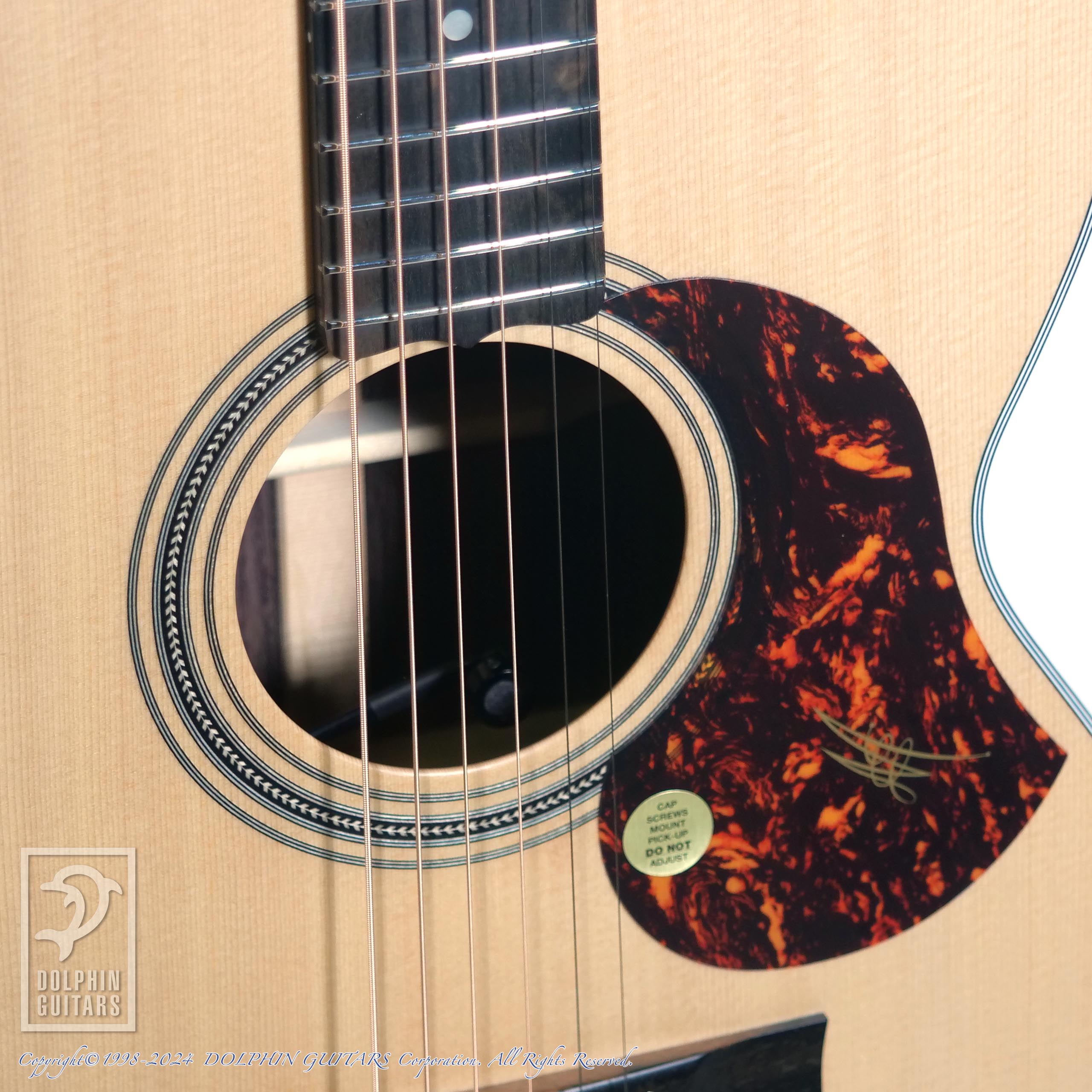 MATON ER90 Traditional - ドルフィンギターズ