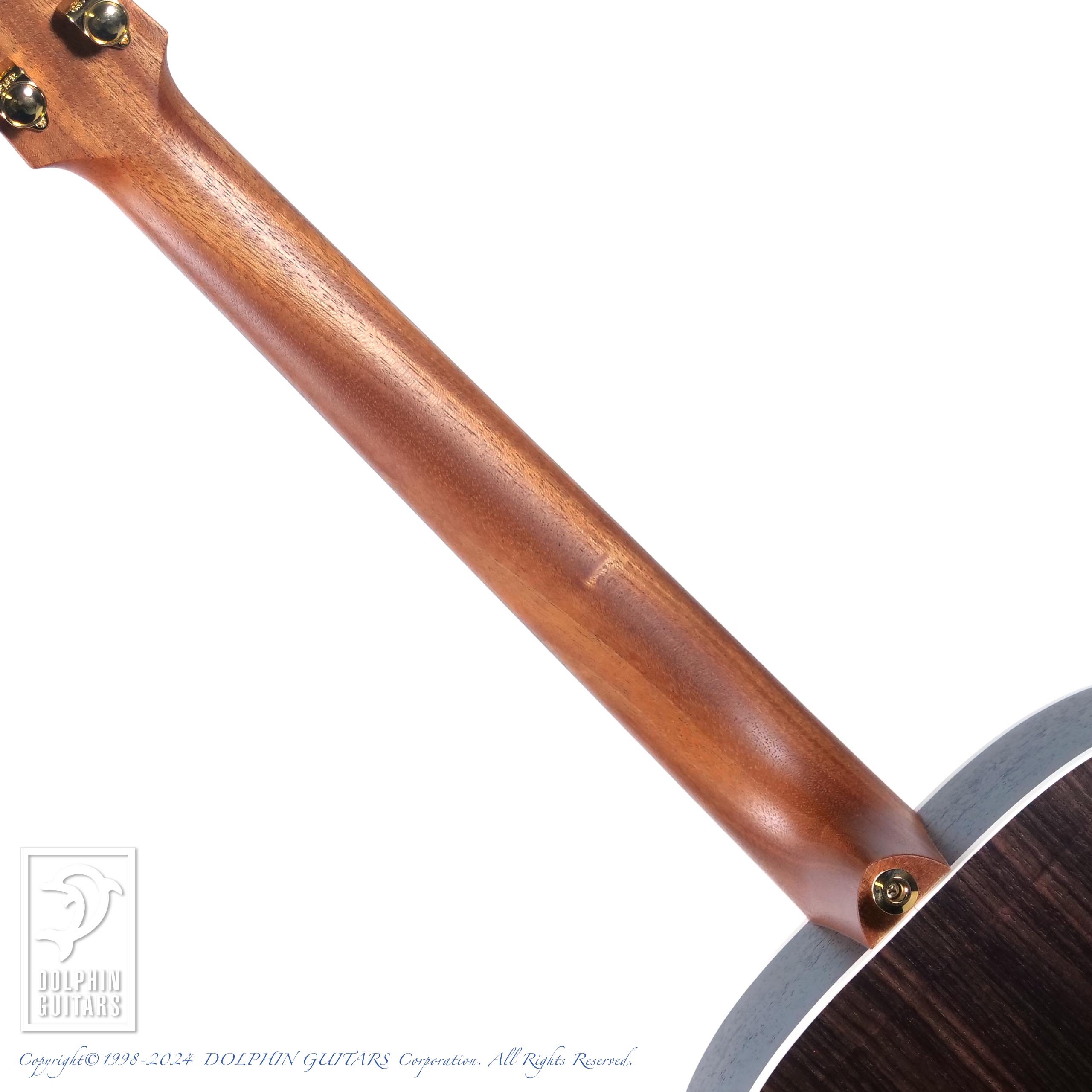 MATON ER90 Traditional - ドルフィンギターズ