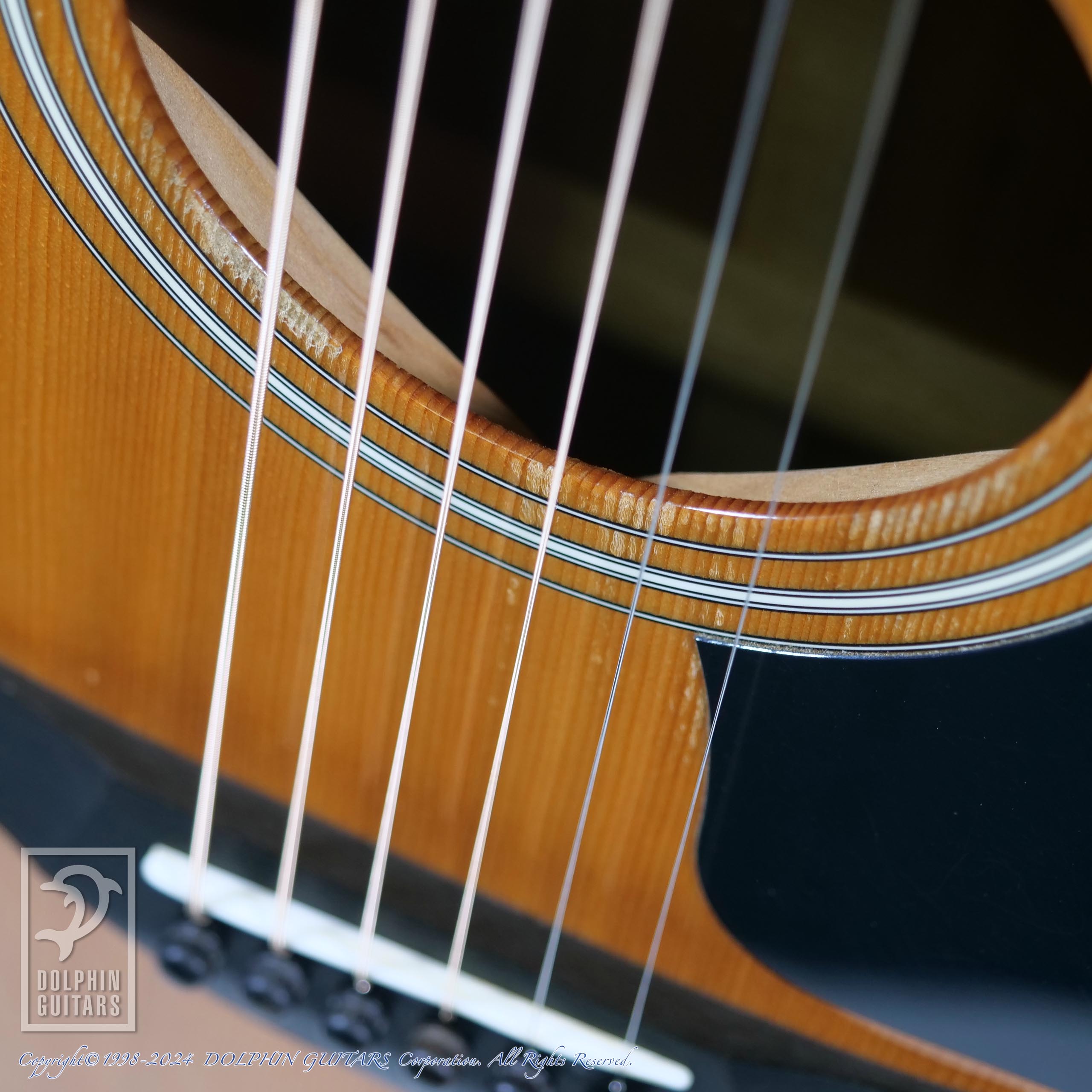 TAYLOR 314ce ES2 - ドルフィンギターズ