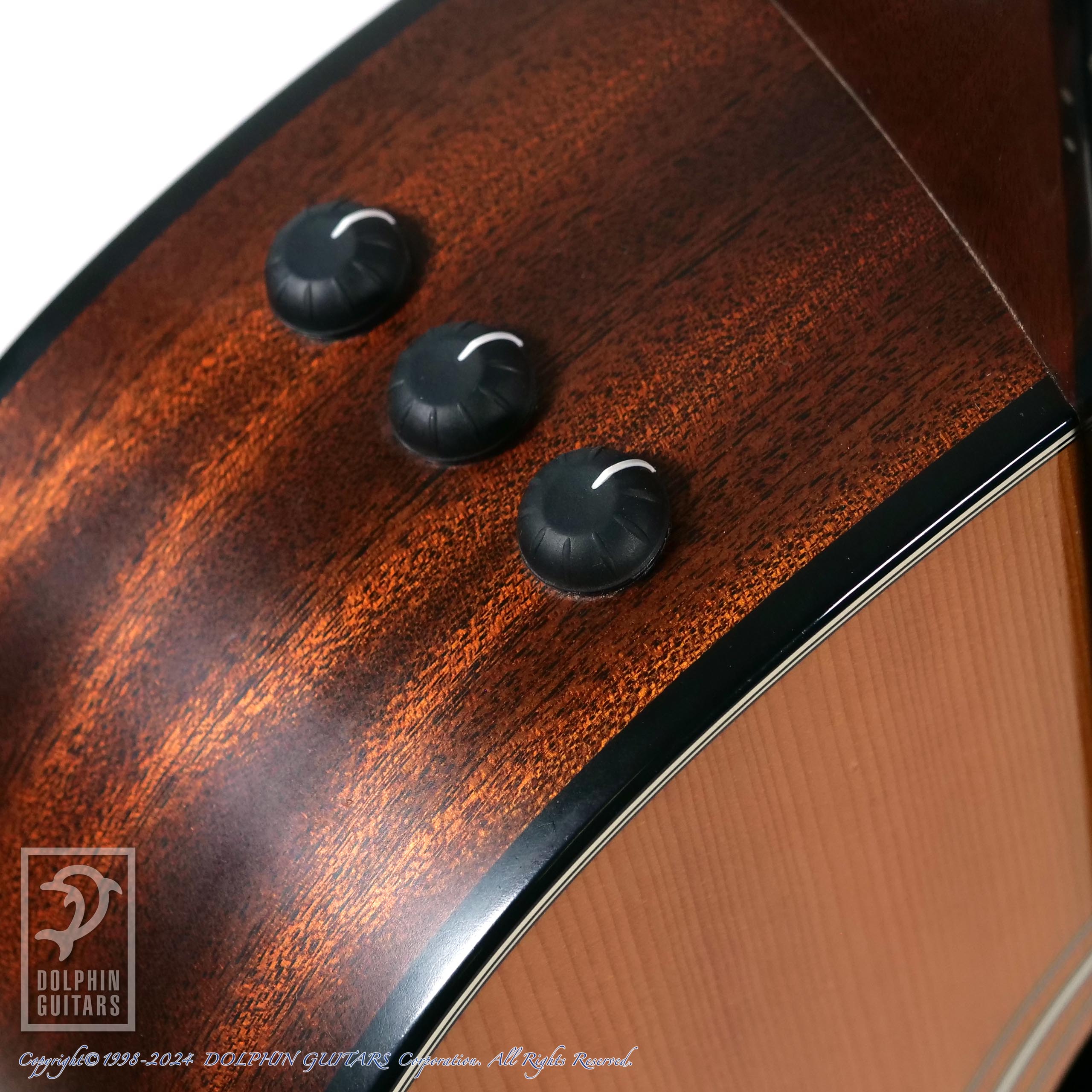 TAYLOR 314ce ES2 - ドルフィンギターズ