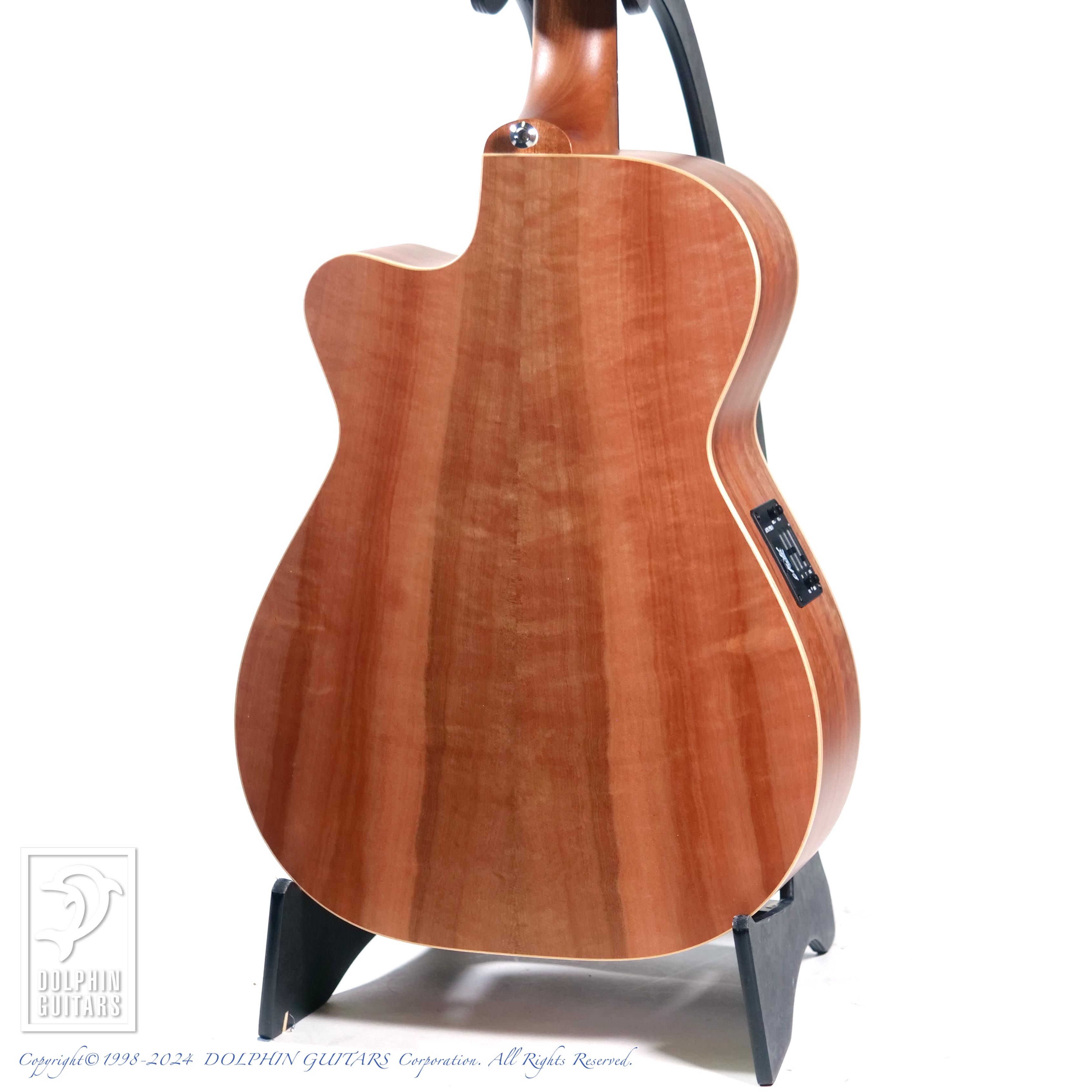 MATON Joe Robinson Signature - ドルフィンギターズ