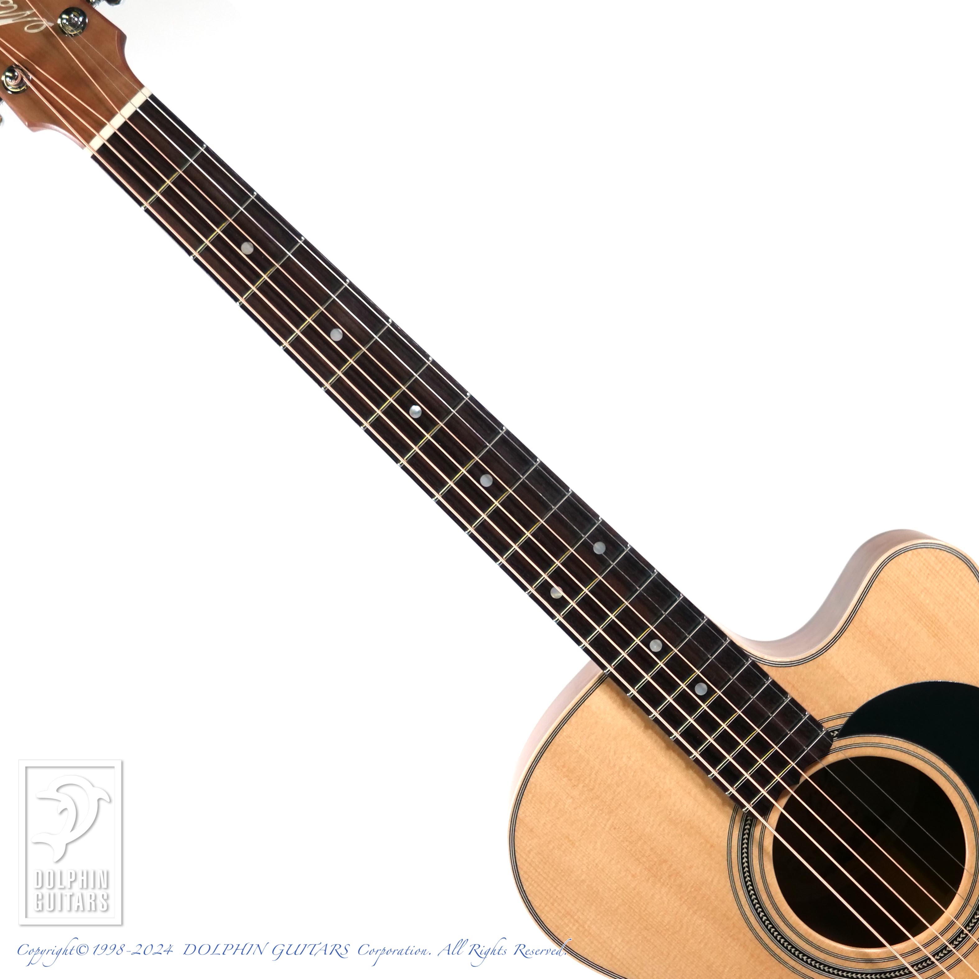 MATON Joe Robinson Signature - ドルフィンギターズ