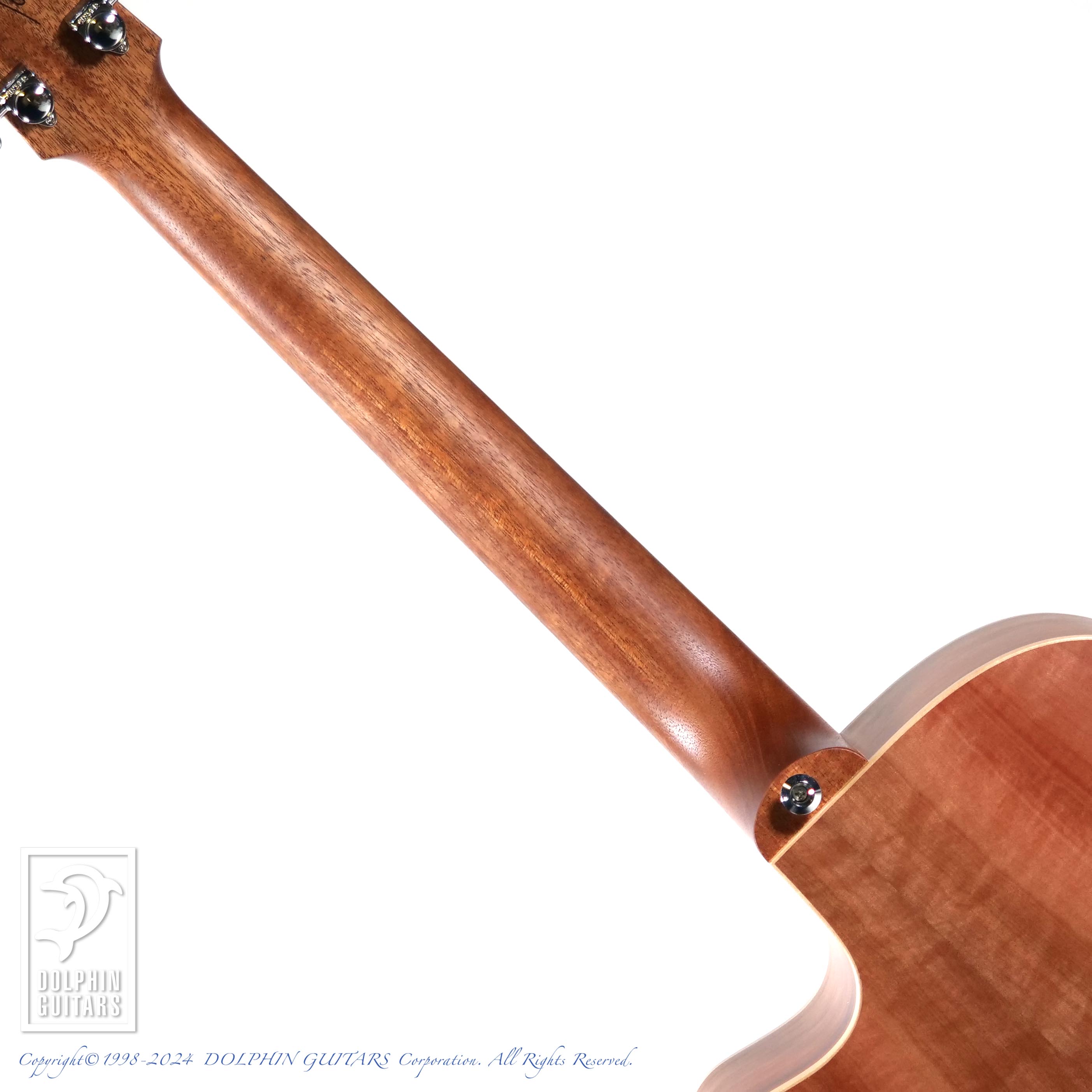 MATON Joe Robinson Signature - ドルフィンギターズ