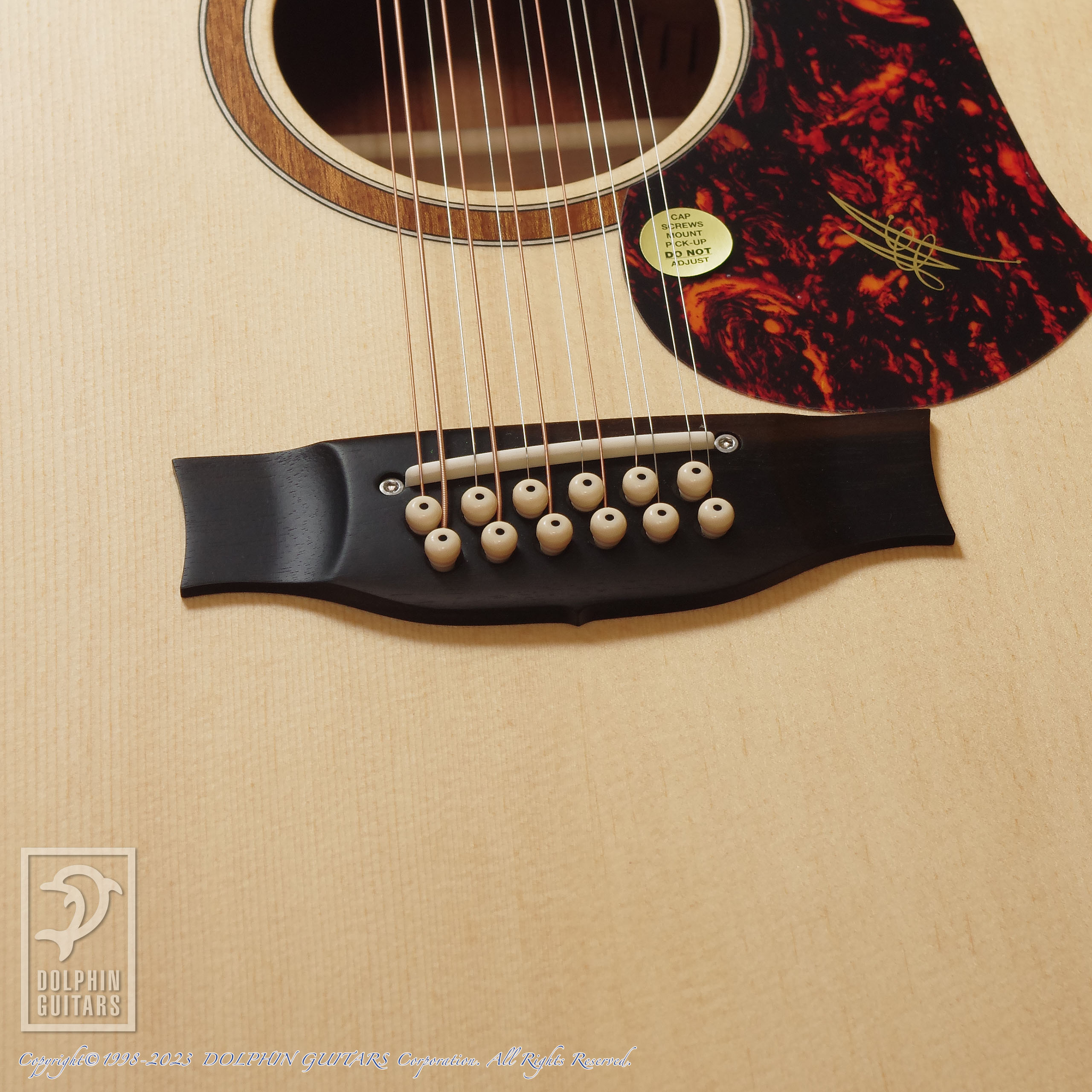 MATON SRS70C-12 (12-Strings) - ドルフィンギターズ