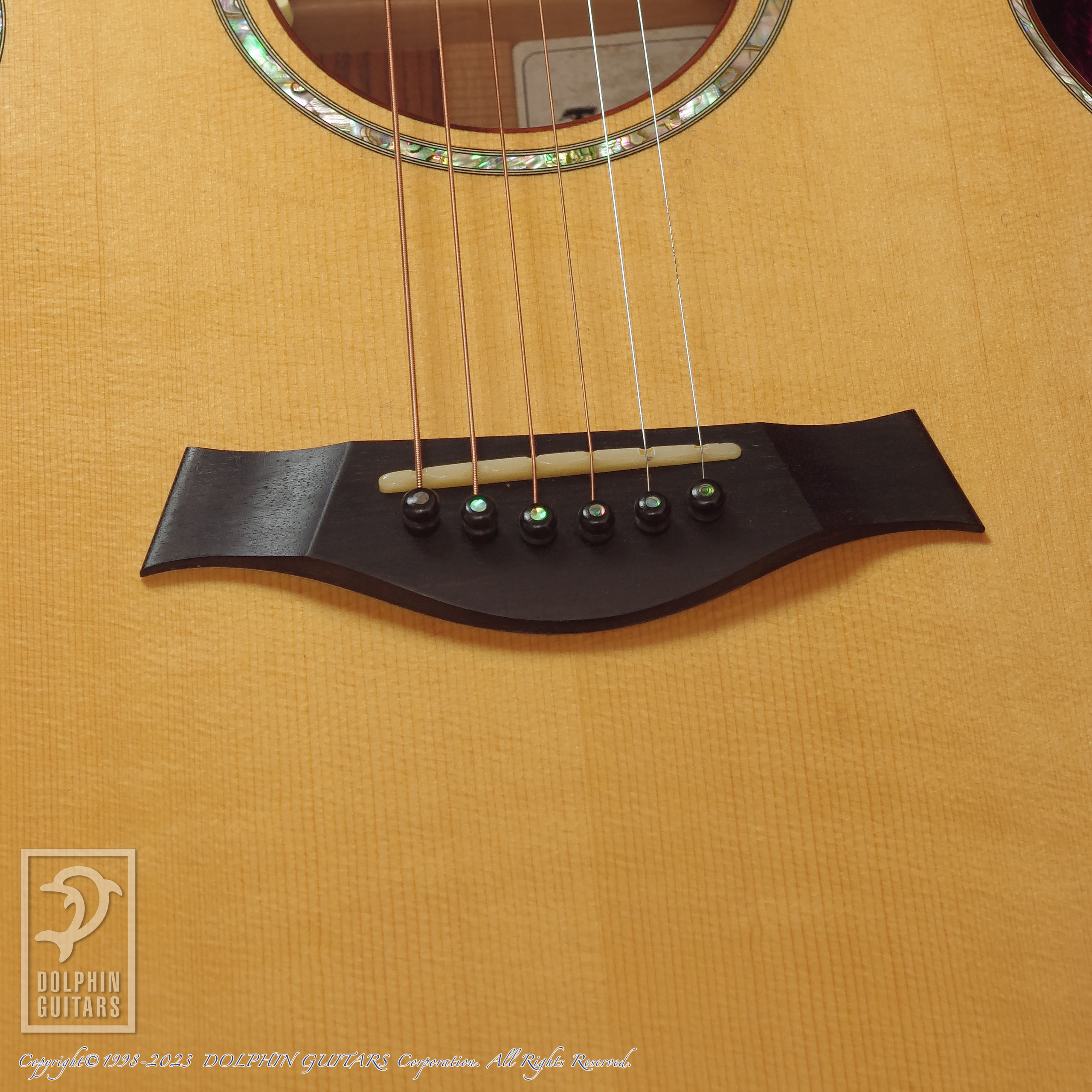 TAYLOR 912C - ドルフィンギターズ