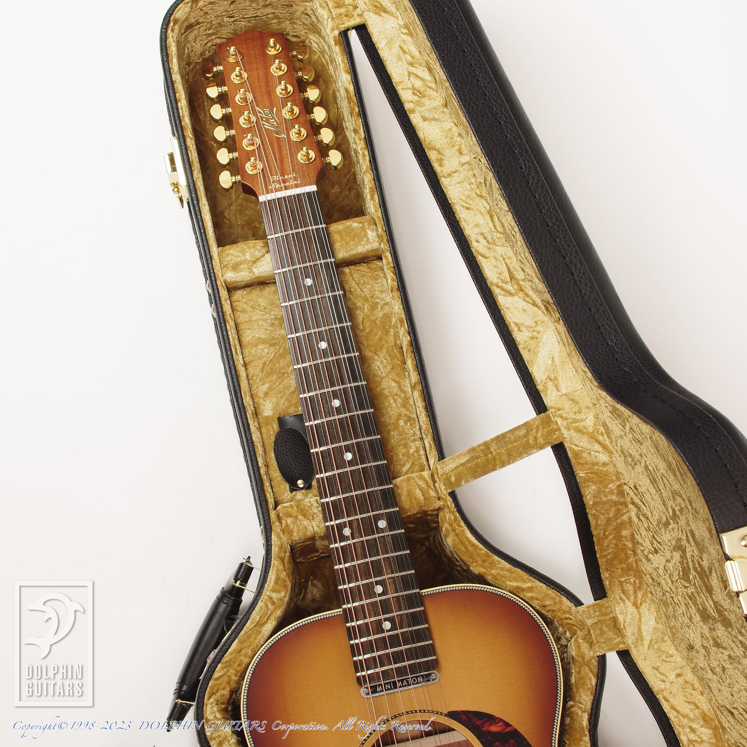 MATON EMD12 (12-strings) - ドルフィンギターズ