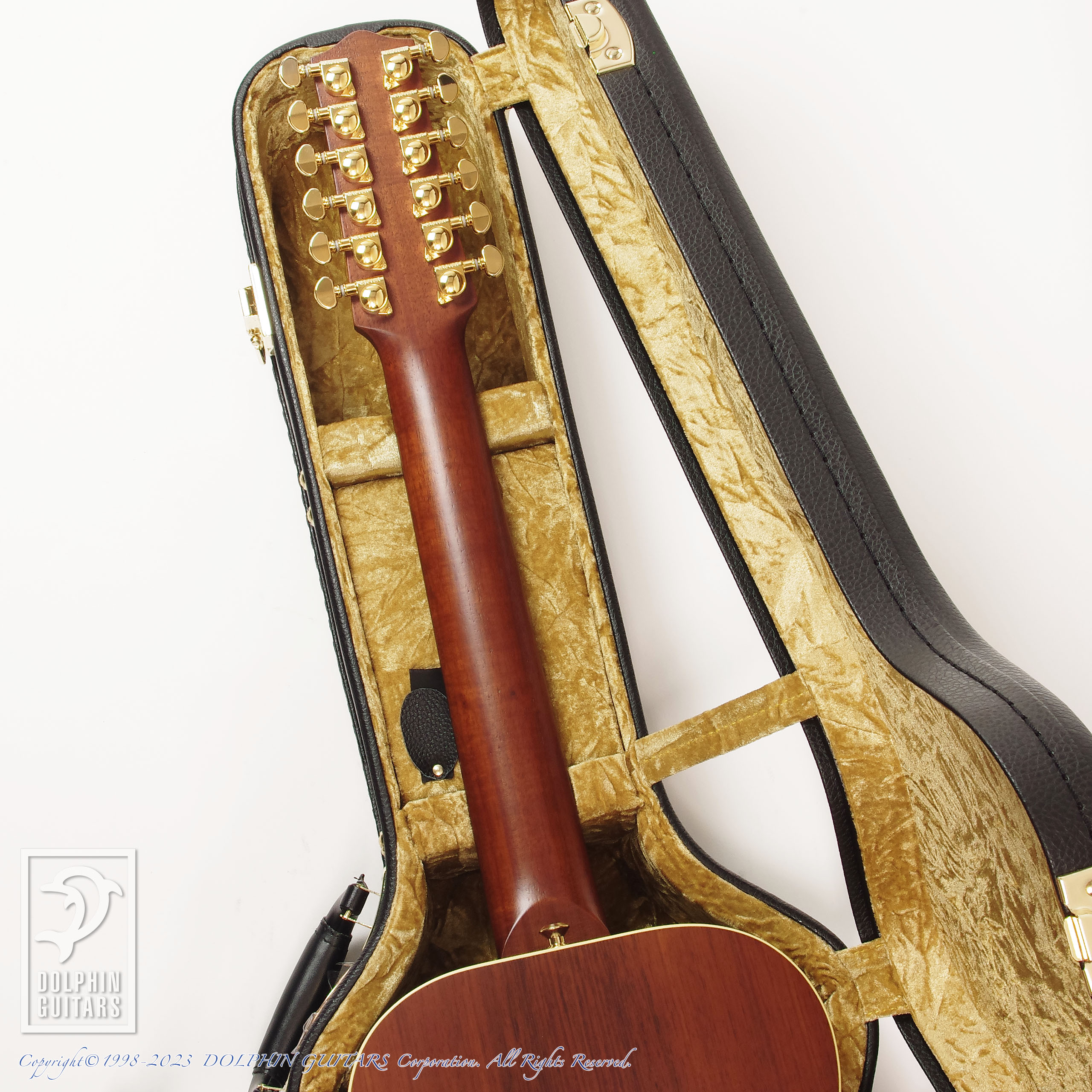 MATON EMD12 (12-strings) - ドルフィンギターズ