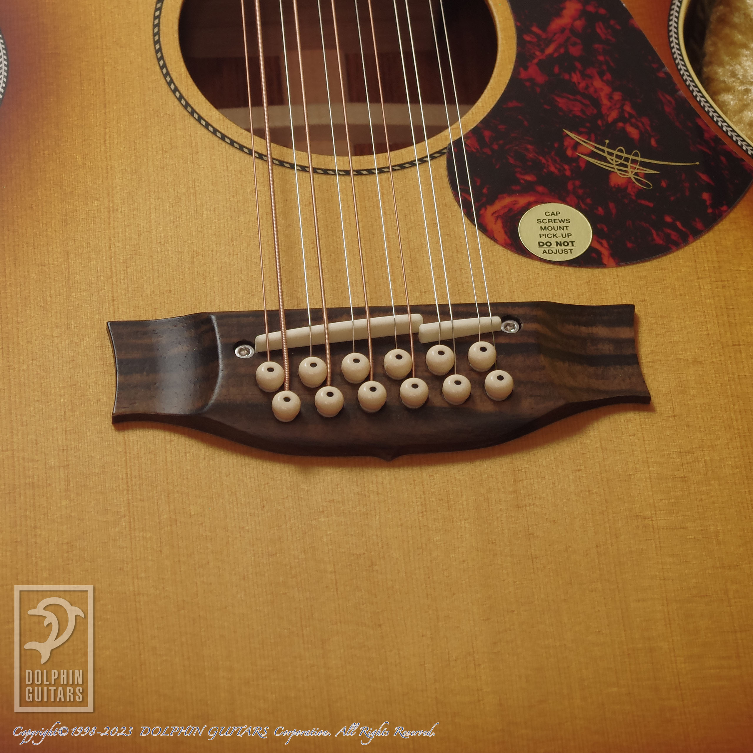 MATON EMD12 (12-strings) - ドルフィンギターズ