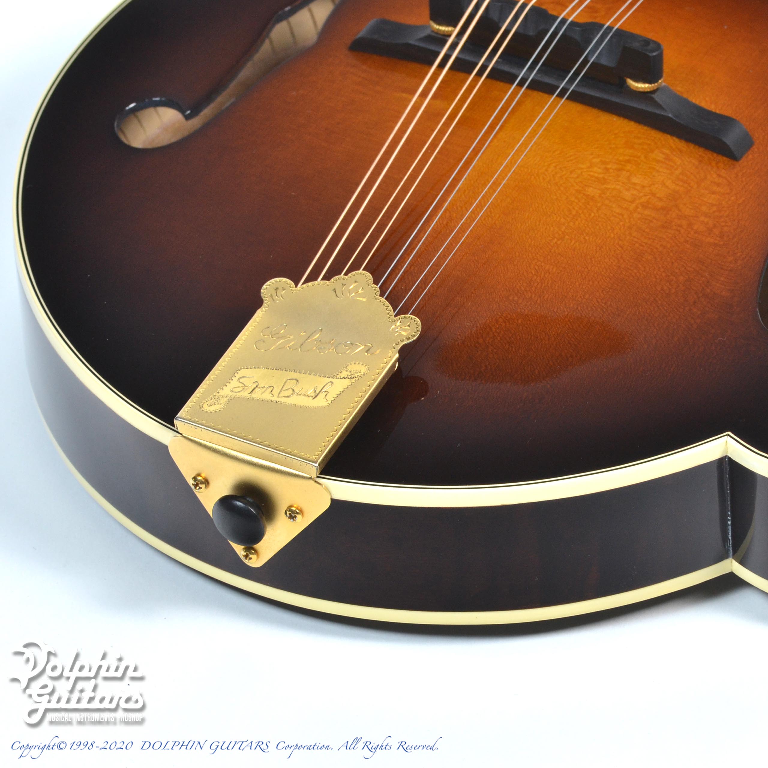 Gibson F-5 Sam Bush - ドルフィンギターズ