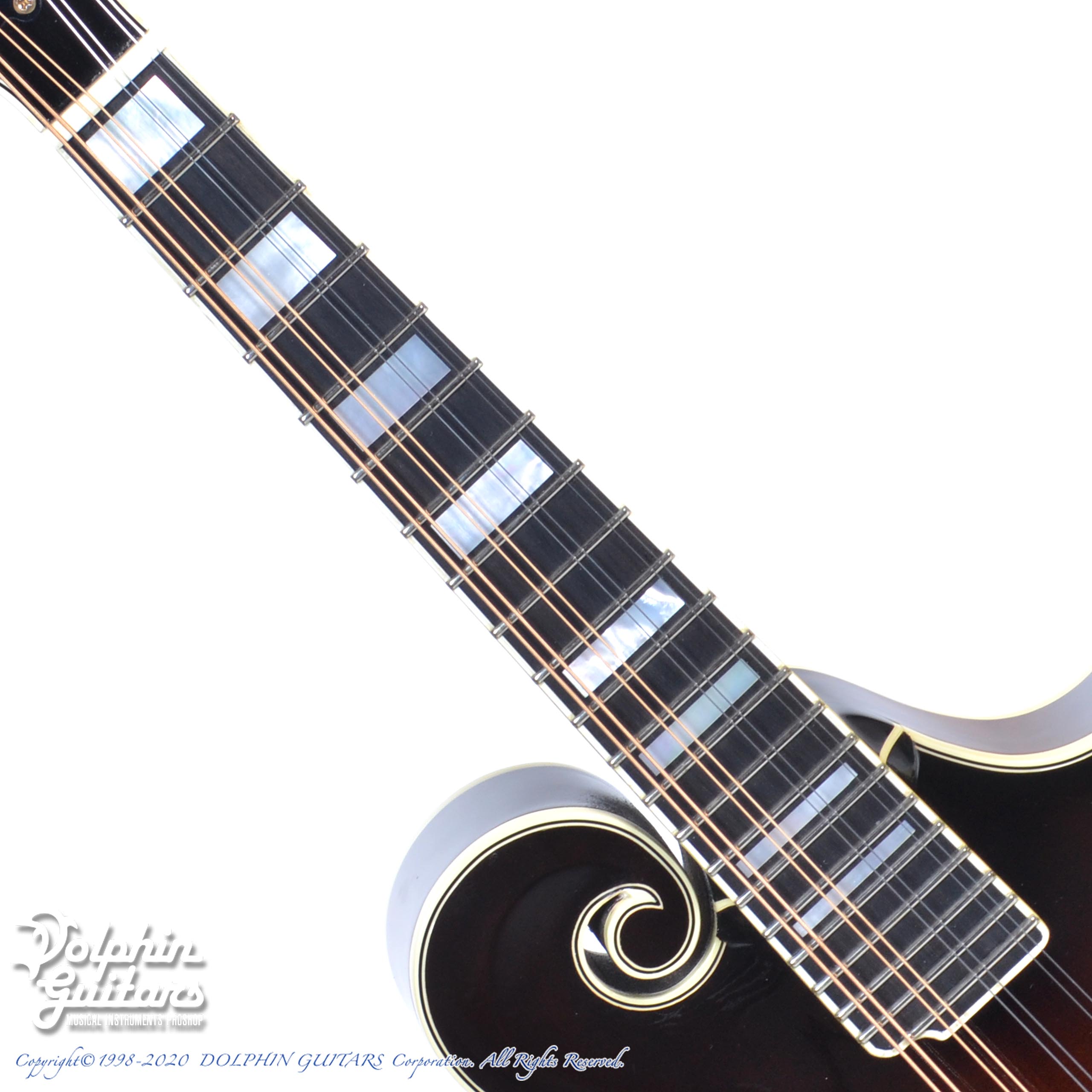 Gibson F-5 Sam Bush - ドルフィンギターズ