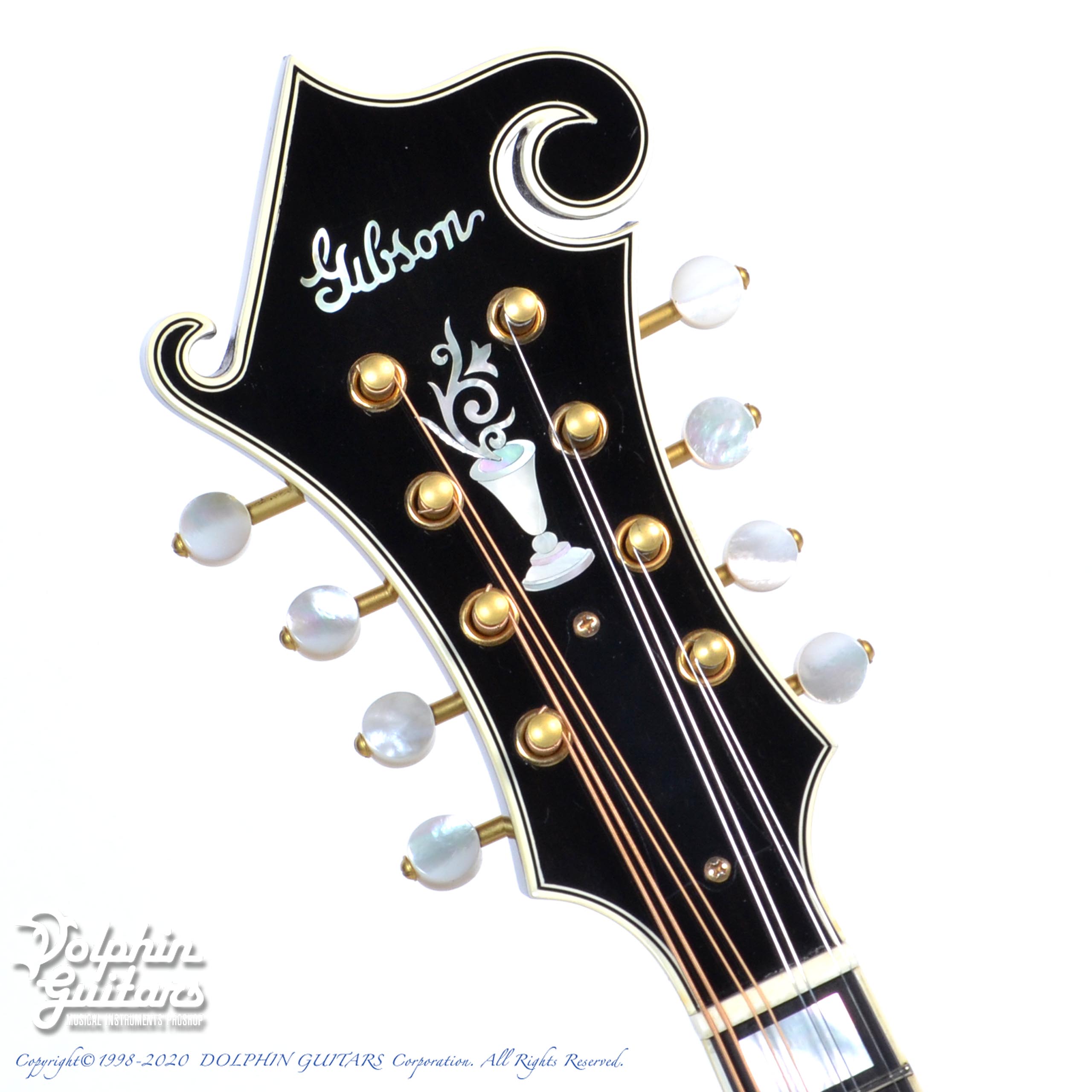 Gibson F-5 Sam Bush - ドルフィンギターズ