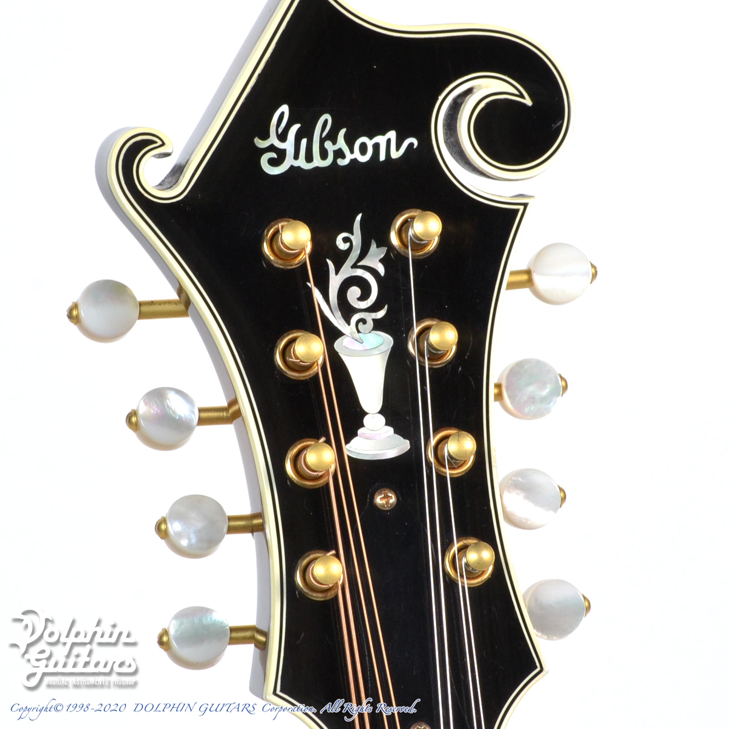 Gibson F-5 Sam Bush - ドルフィンギターズ