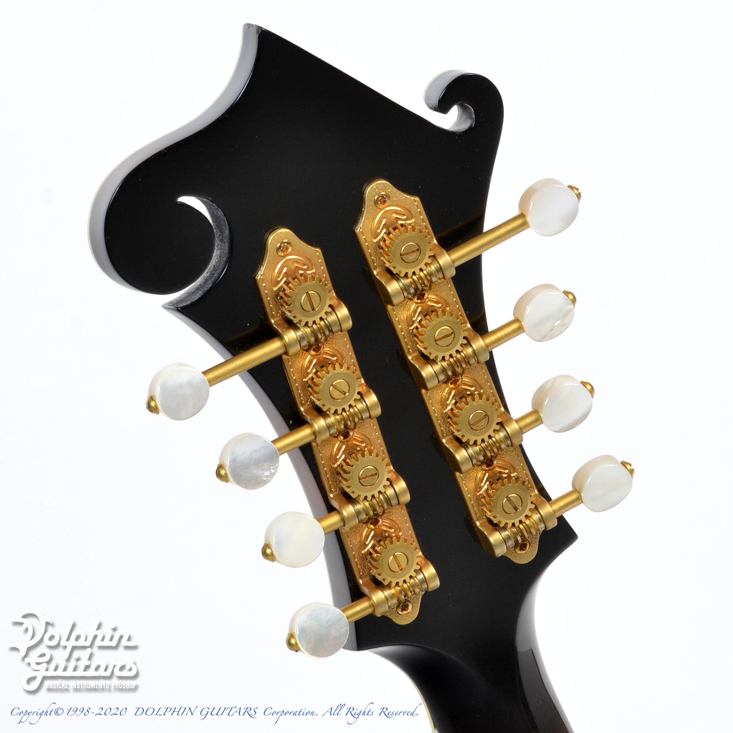 Gibson F-5 Sam Bush - ドルフィンギターズ