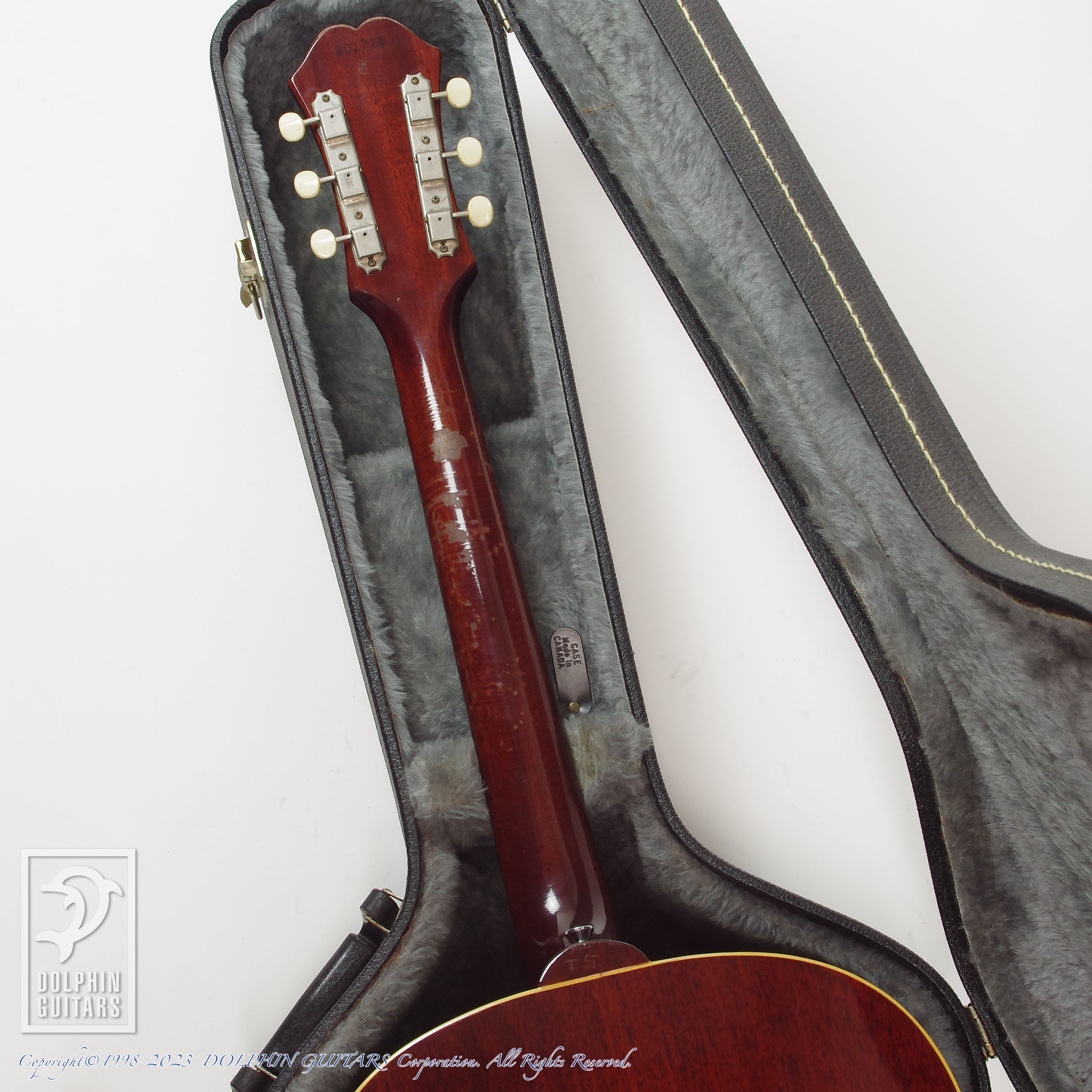 Epiphone FT-79 TEXAN Cherry Red - ドルフィンギターズ