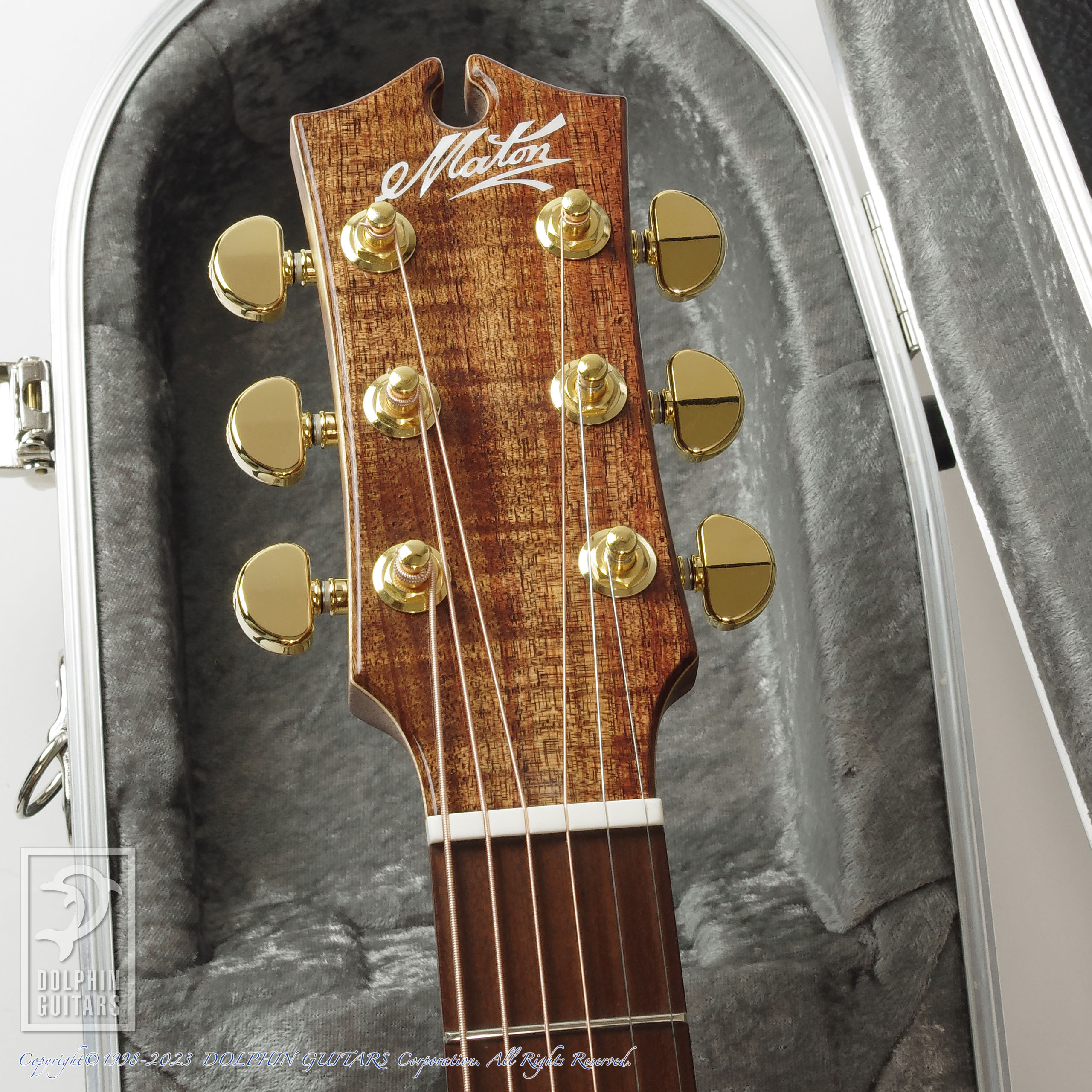 MATON EA80C - ドルフィンギターズ