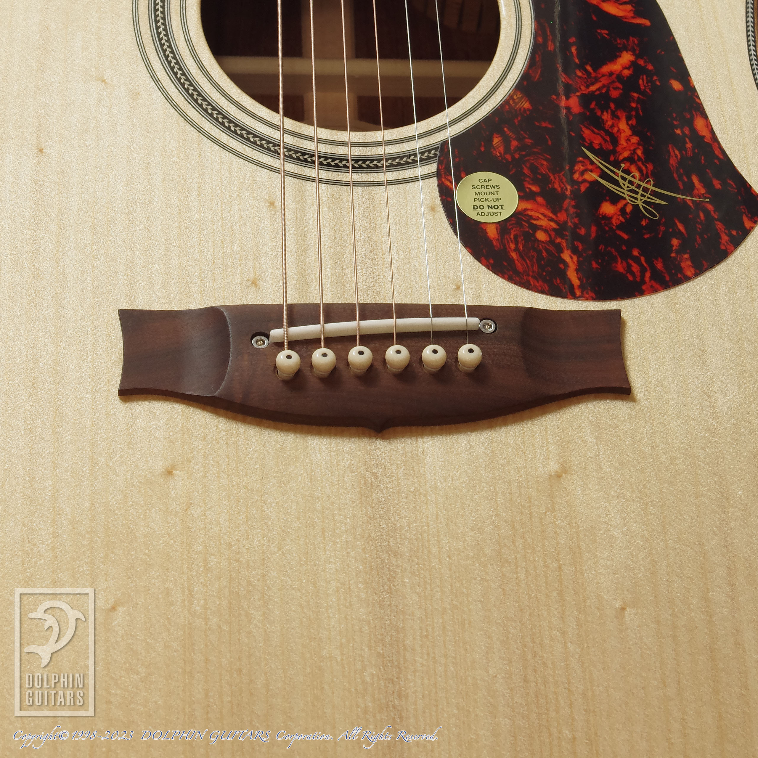 MATON EA80C - ドルフィンギターズ