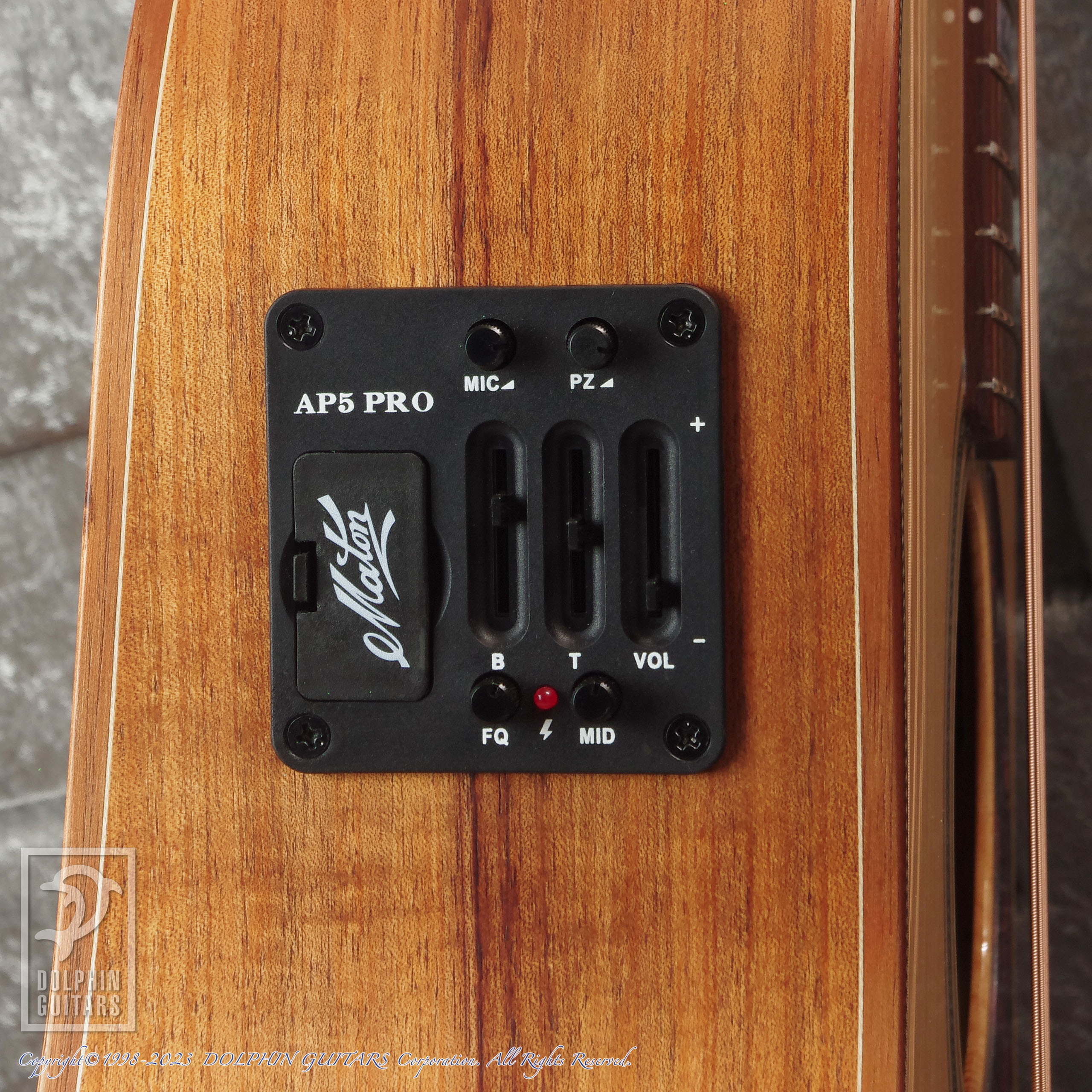 MATON EA80C - ドルフィンギターズ