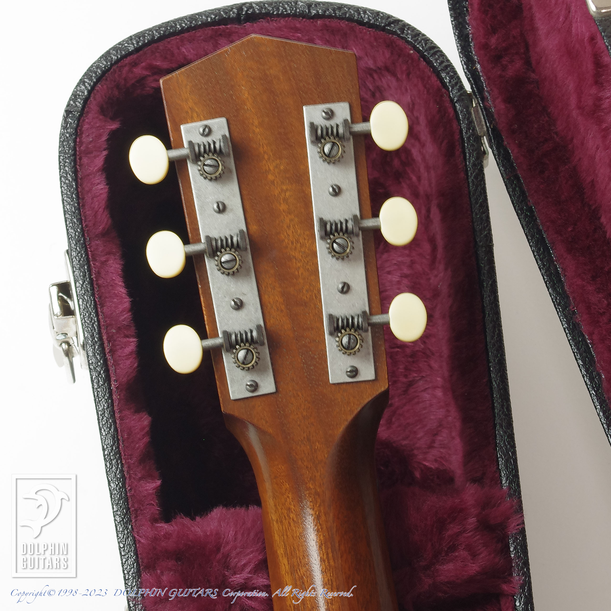 WATERLOO (by Collings) WL-14X Longhorn (X Bracing / Truss Rod) - ドルフィンギターズ