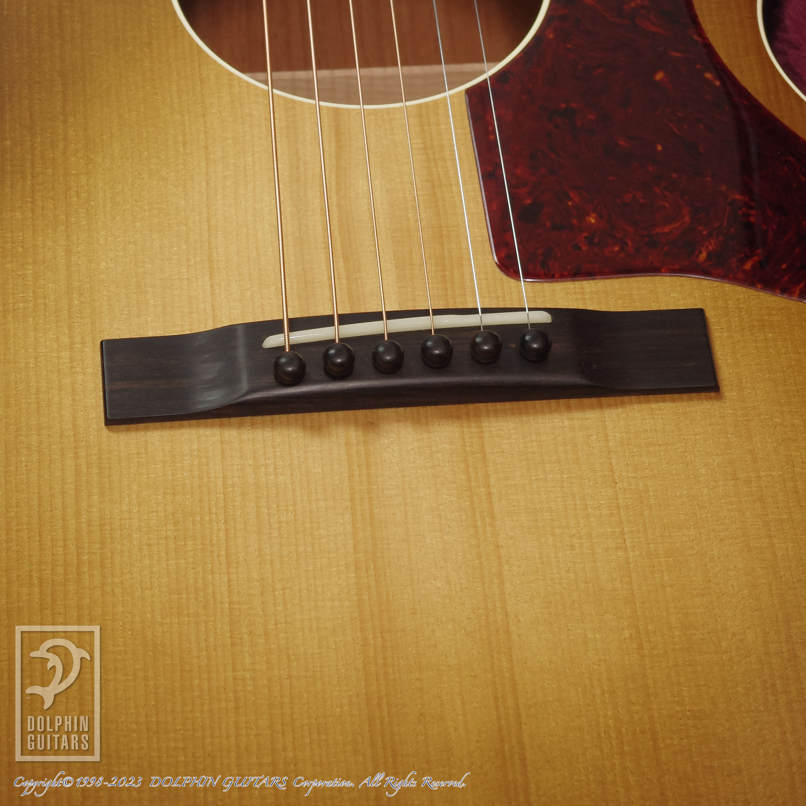 WATERLOO (by Collings) WL-14X Longhorn (X Bracing / Truss Rod) - ドルフィンギターズ