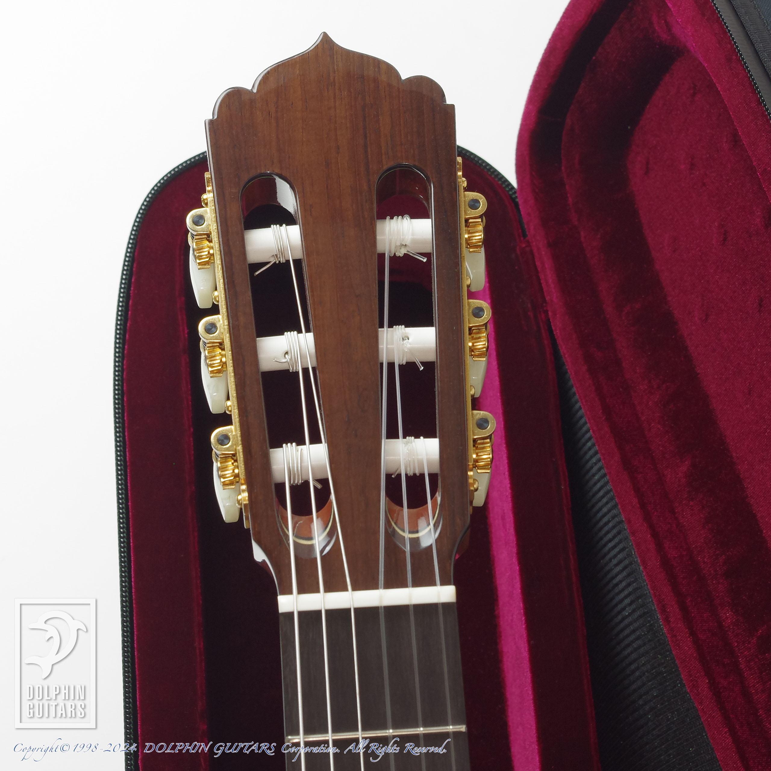 ASTURIAS Solo Classico S 25th Limited Edition - ドルフィンギターズ