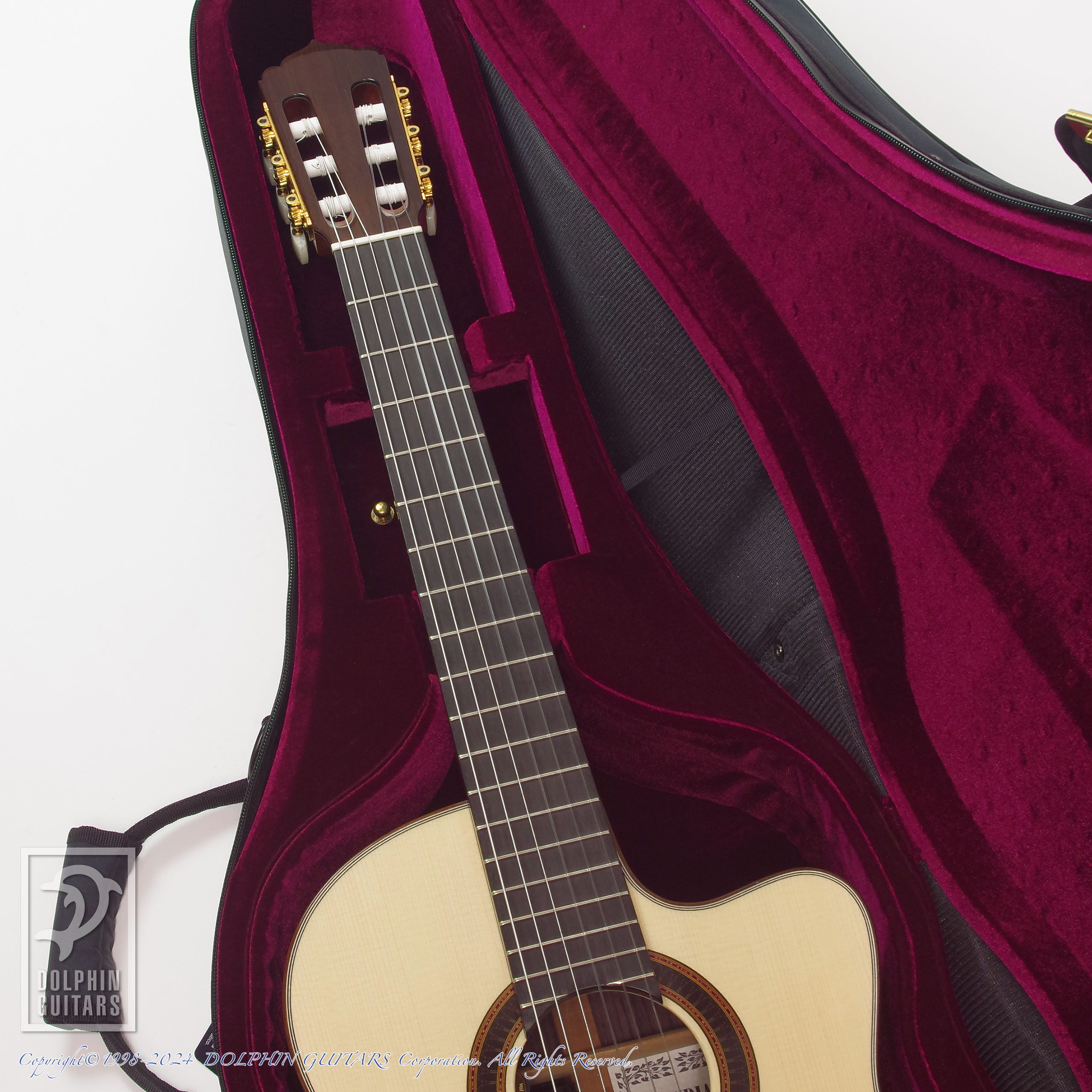 ASTURIAS Solo Classico S 25th Limited Edition - ドルフィンギターズ