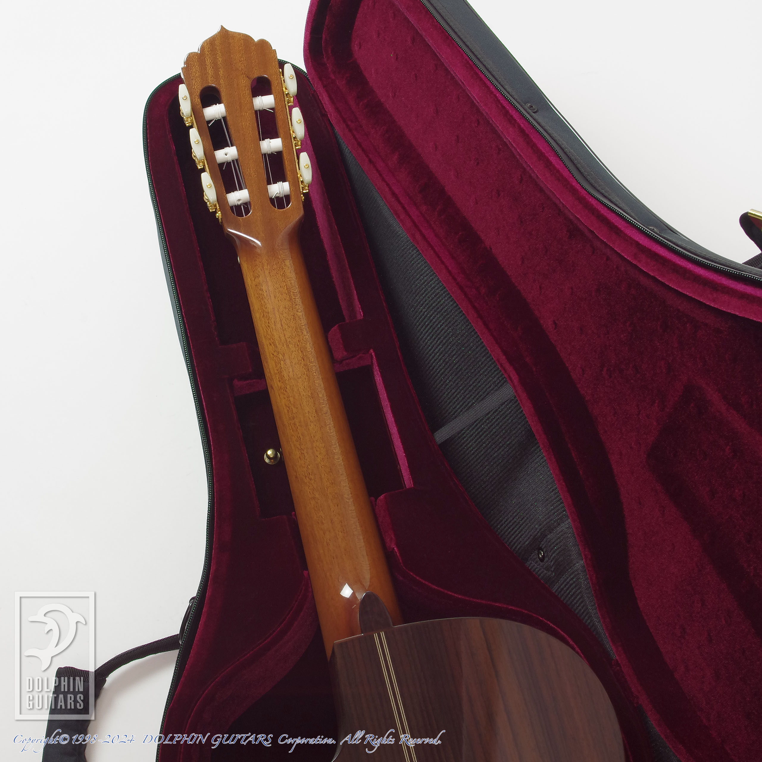 ASTURIAS Solo Classico S 25th Limited Edition - ドルフィンギターズ
