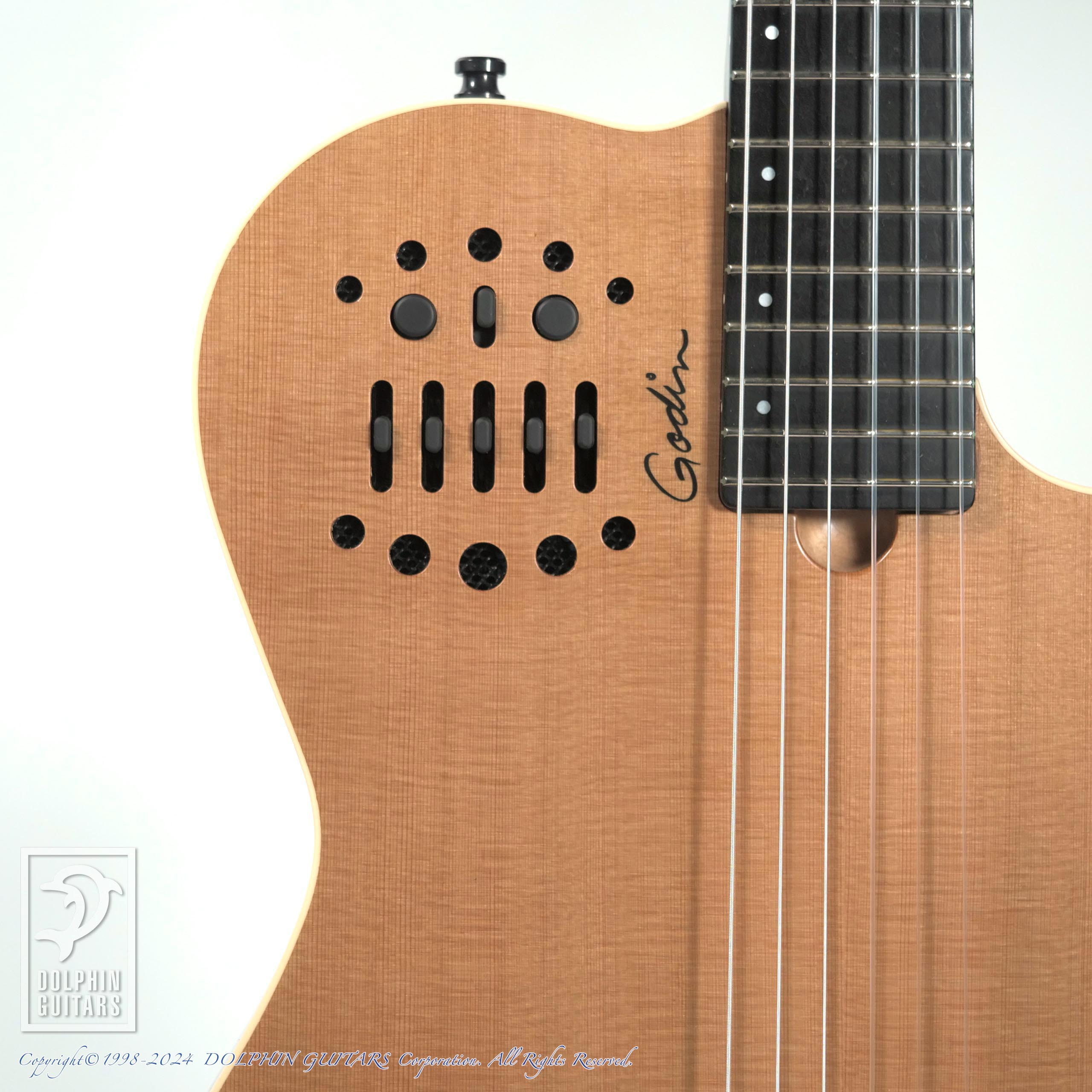 GODIN Multiac ACS Slim SA - ドルフィンギターズ