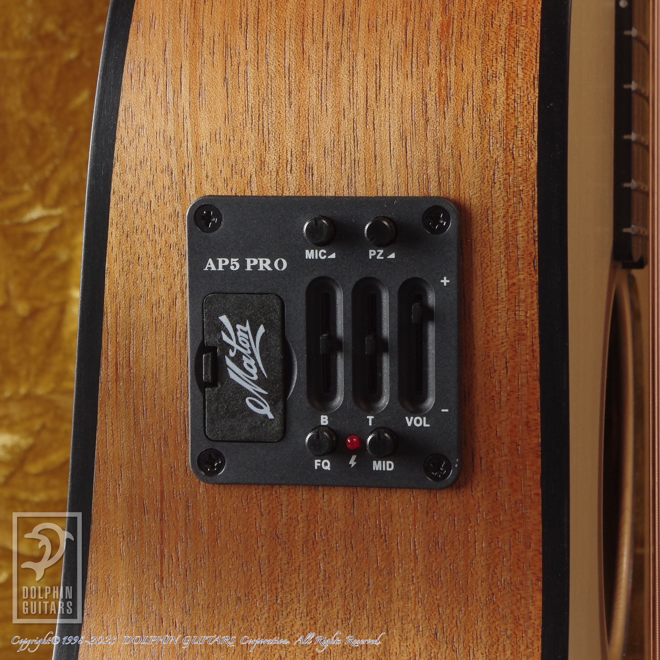 MATON SRS70C-12 (12-Strings) - ドルフィンギターズ