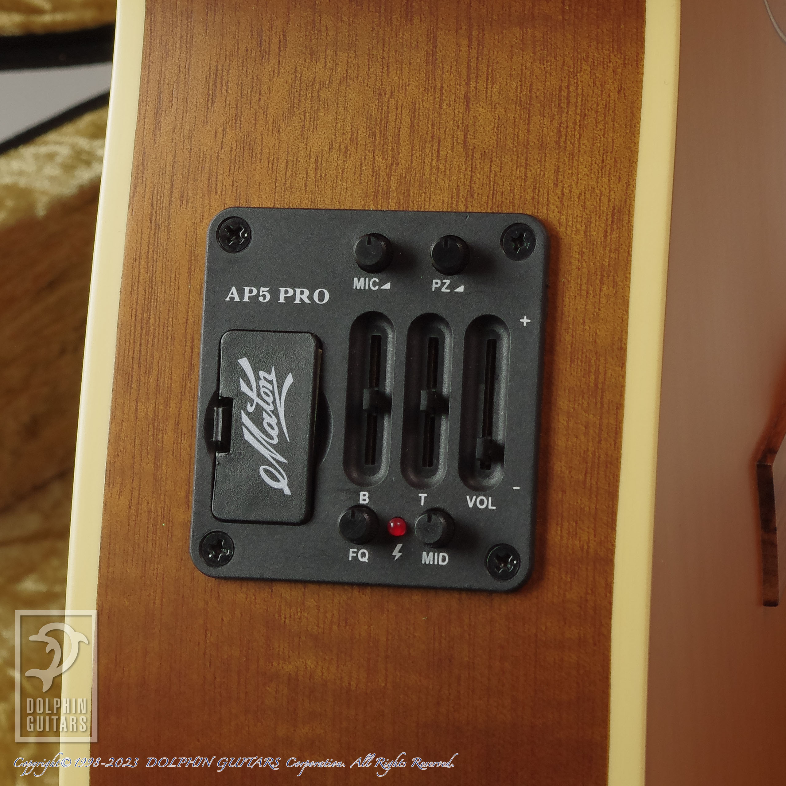 MATON Performer 2023 Limited Model (Orange Mouse) - ドルフィンギターズ