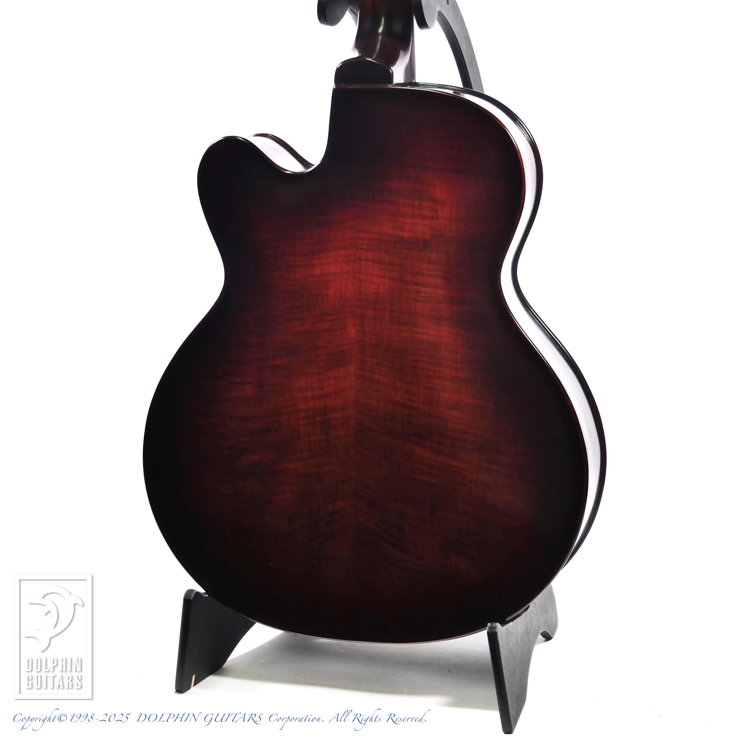 LANDSCAPE AR-101 - ドルフィンギターズ