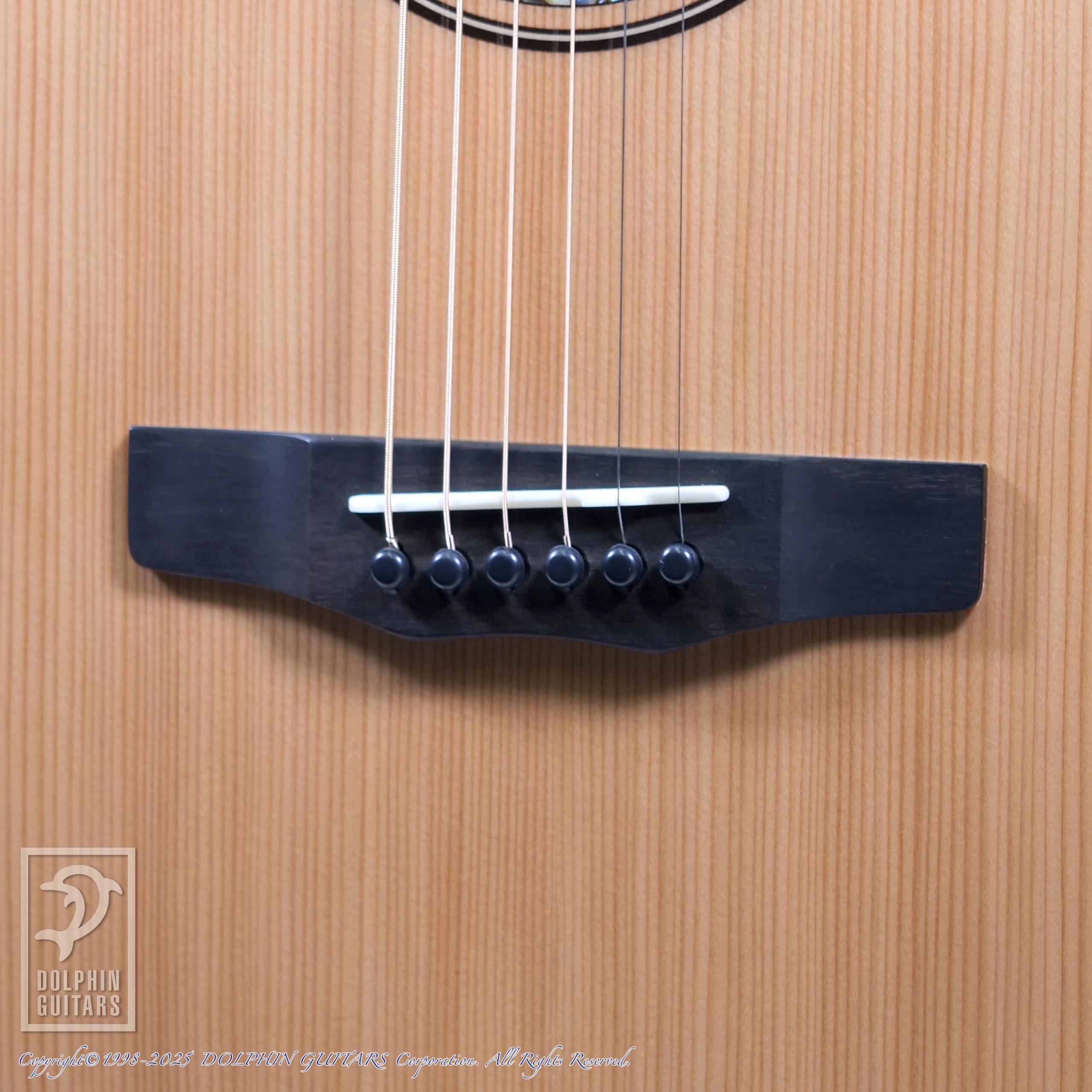 MORRIS F-102.LC - ドルフィンギターズ