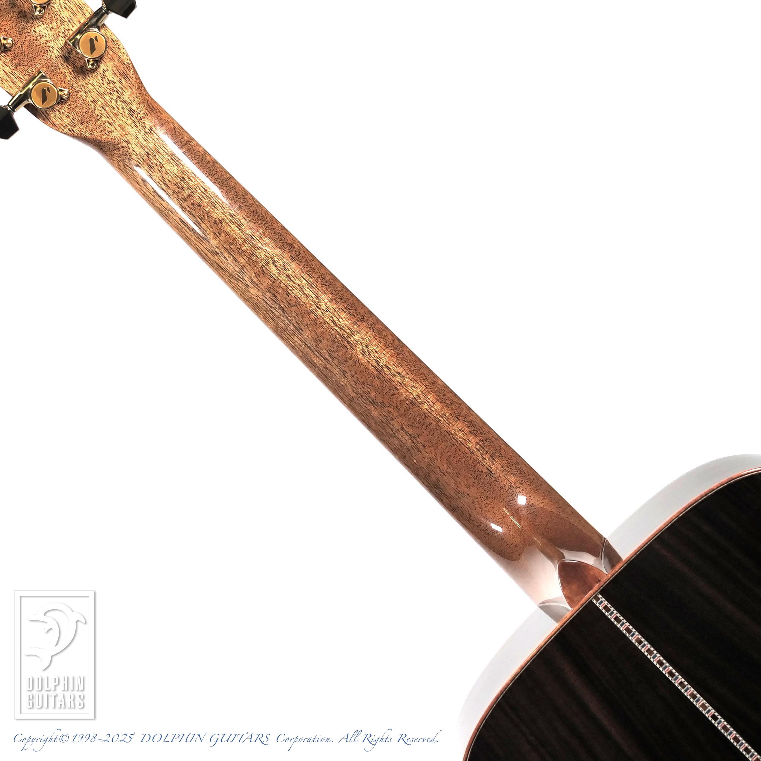 MORRIS F-102.LC - ドルフィンギターズ