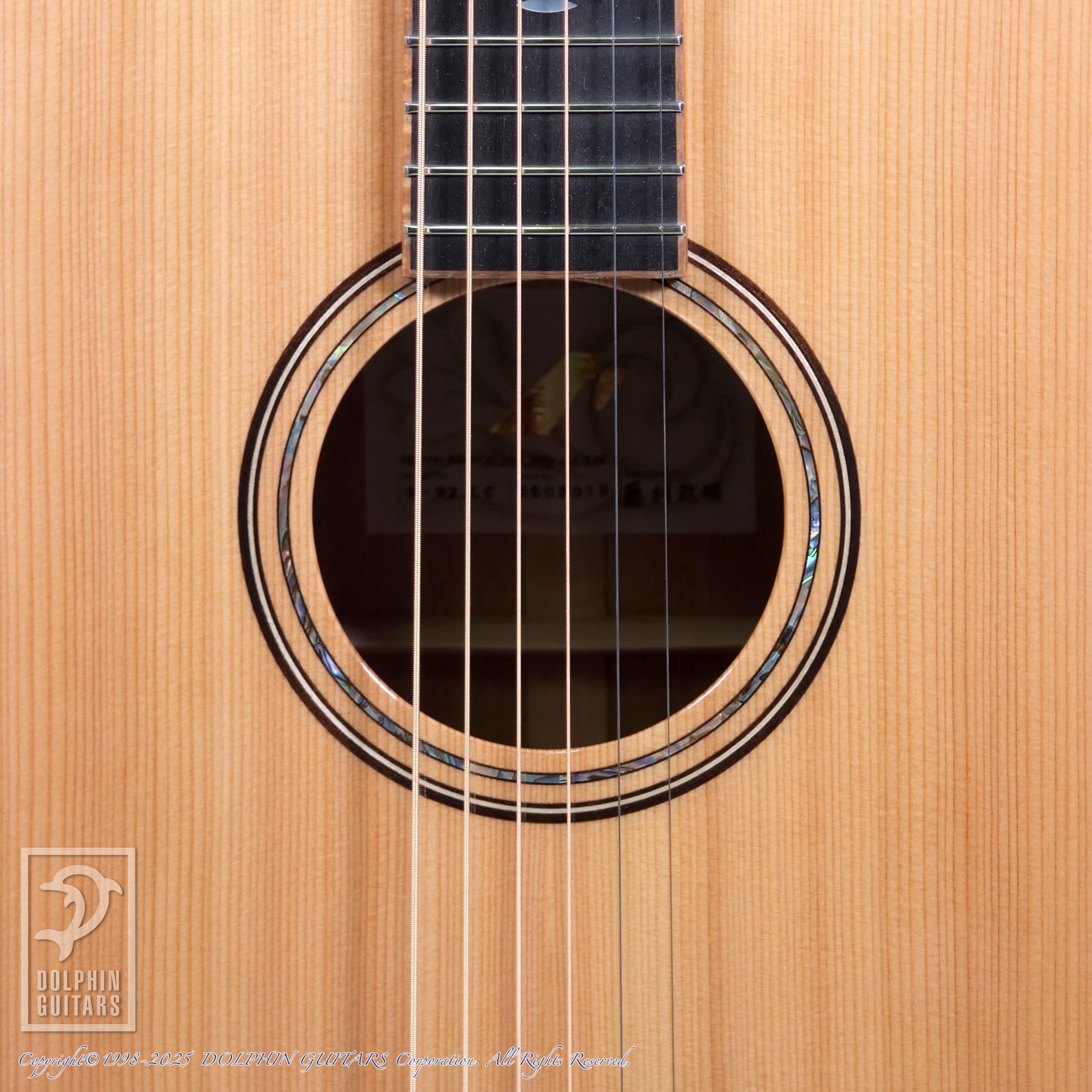 MORRIS F-92.LC - ドルフィンギターズ