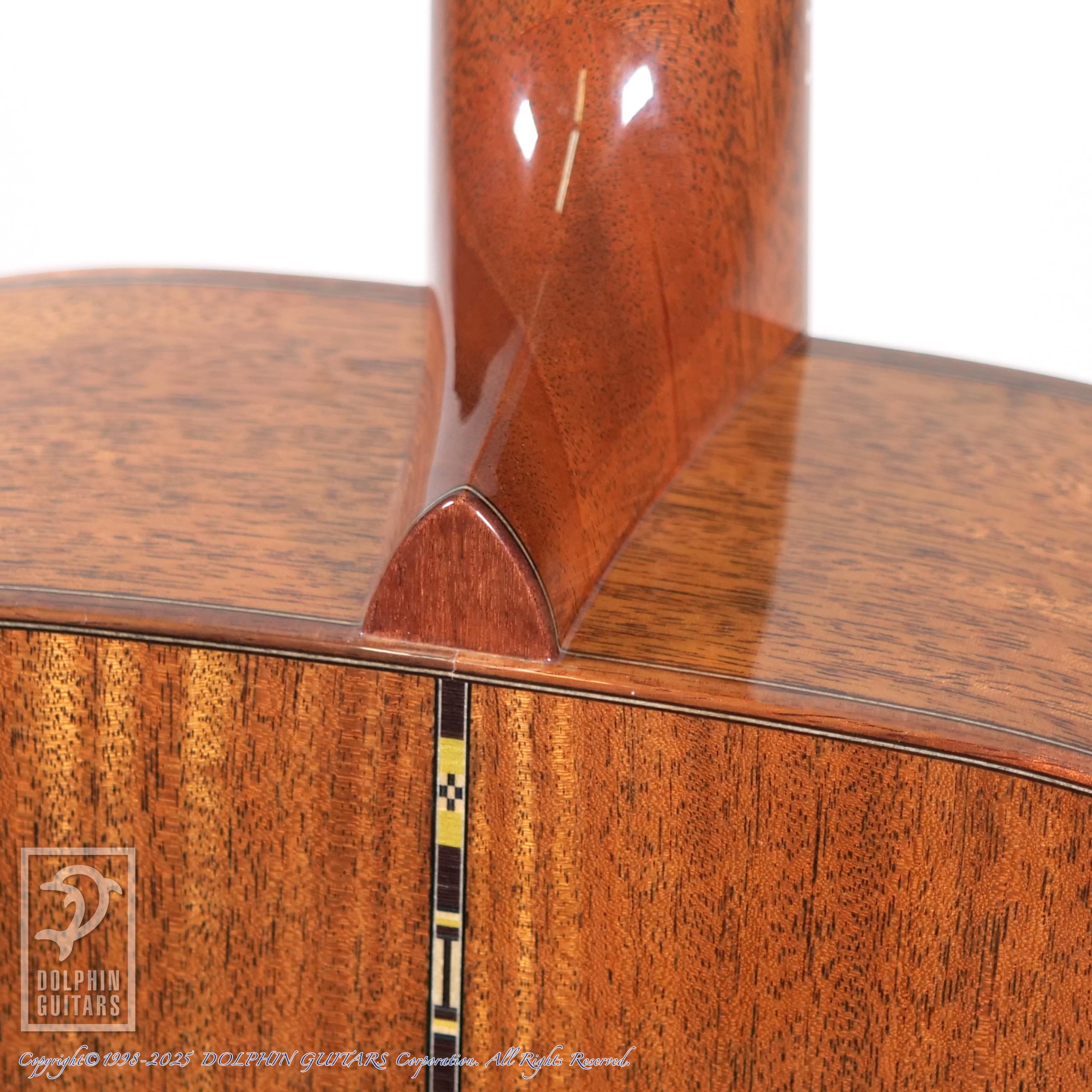 MORRIS F-92.LC - ドルフィンギターズ