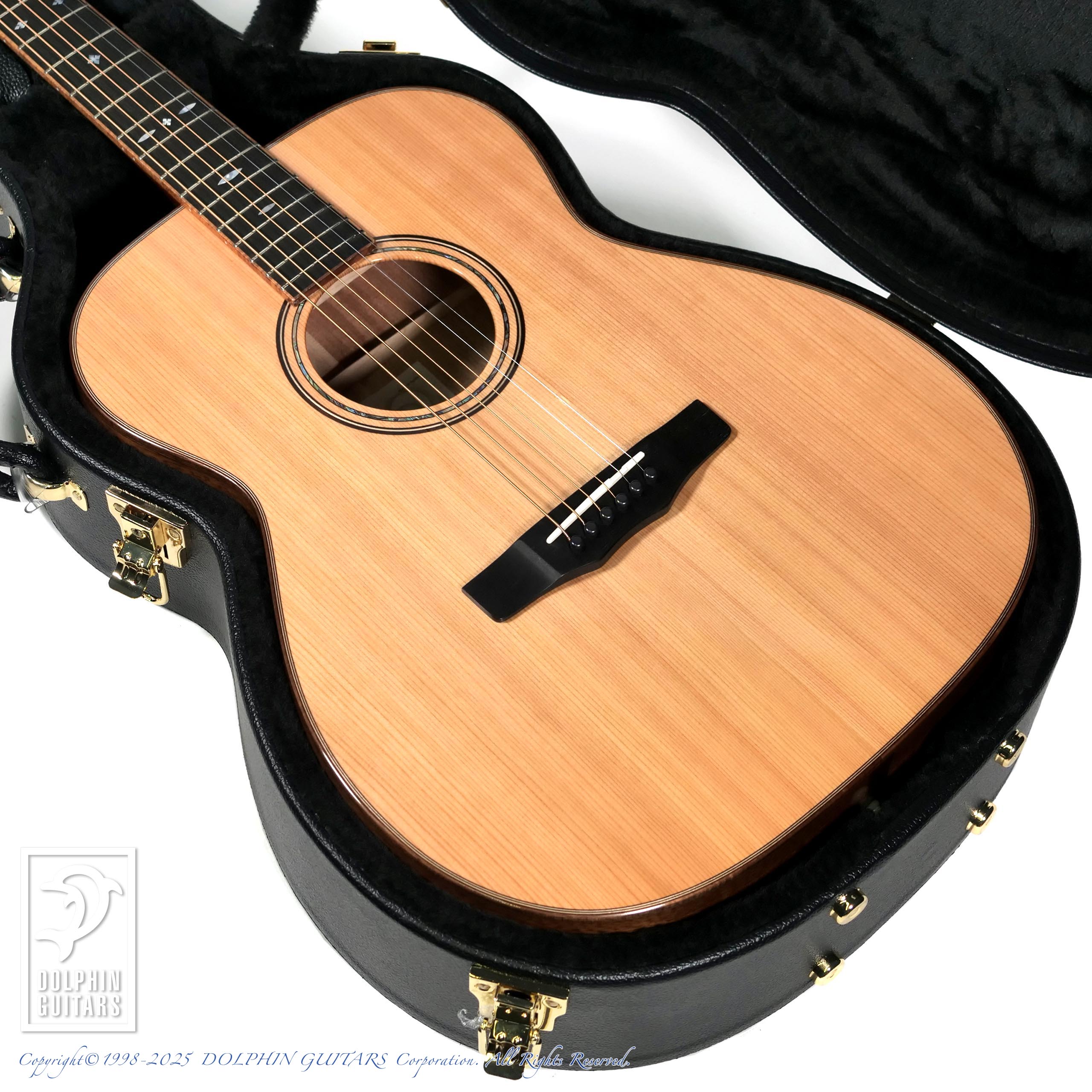 MORRIS F-92.LC - ドルフィンギターズ