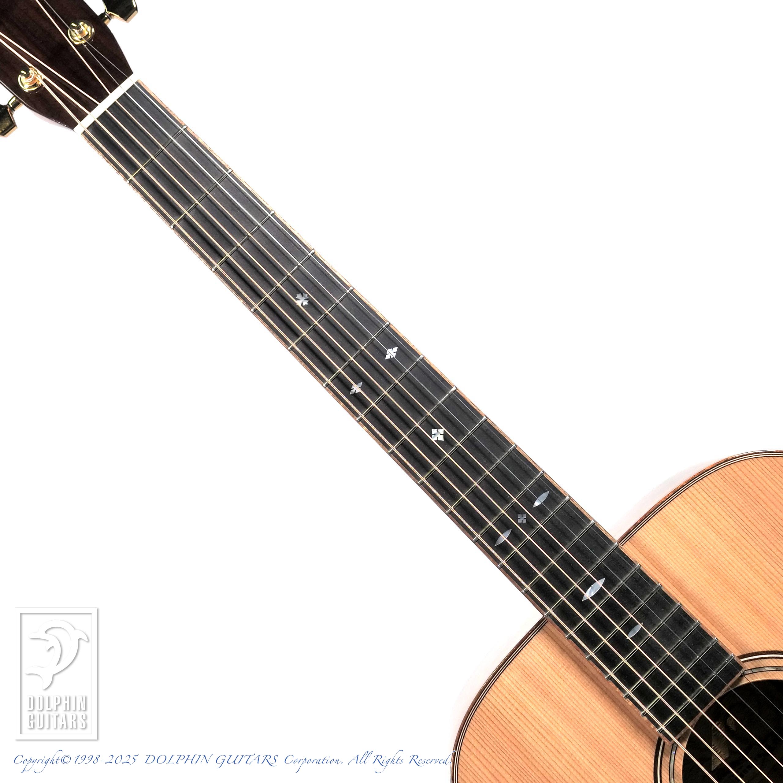 MORRIS F-92.LC - ドルフィンギターズ