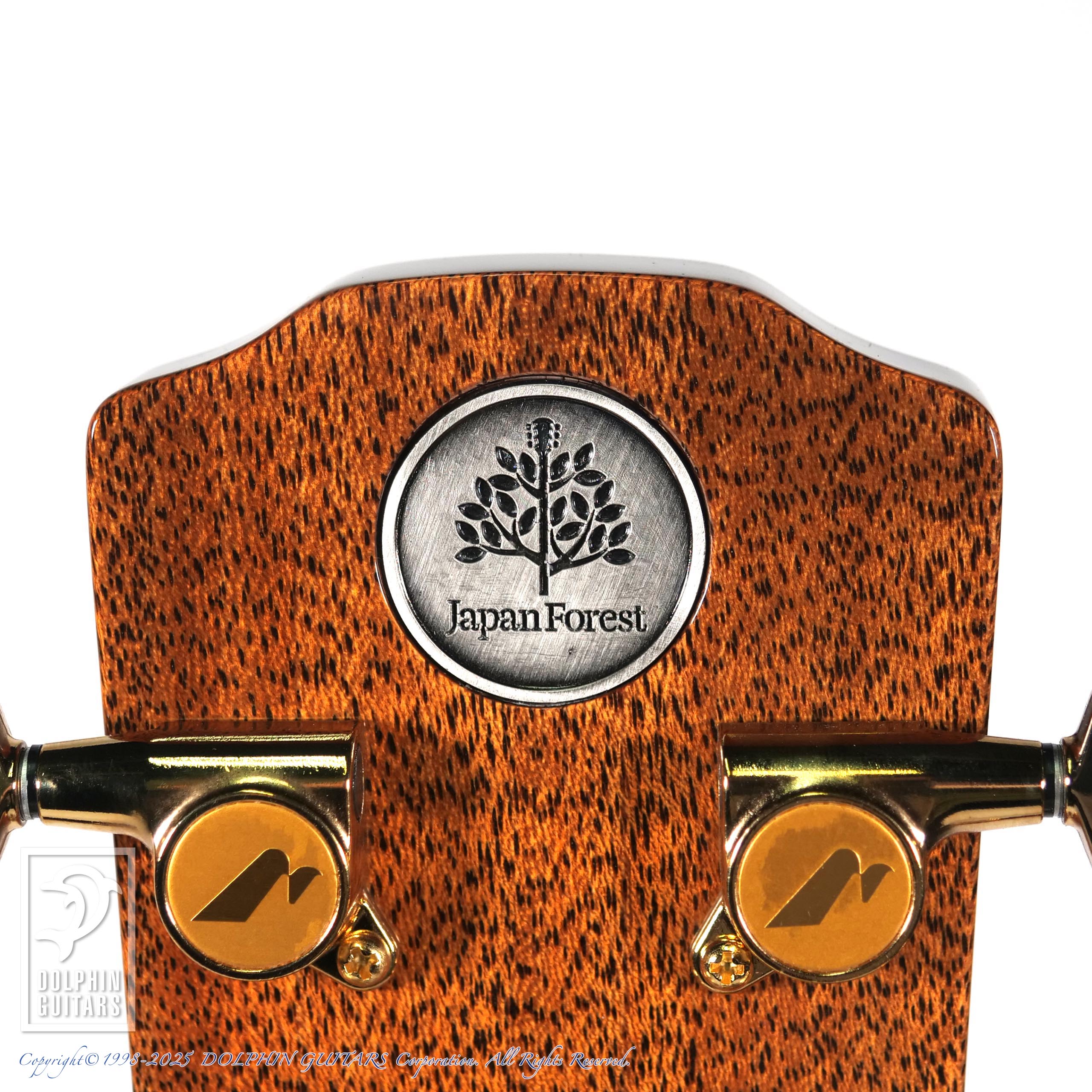 MORRIS F-92.LC - ドルフィンギターズ