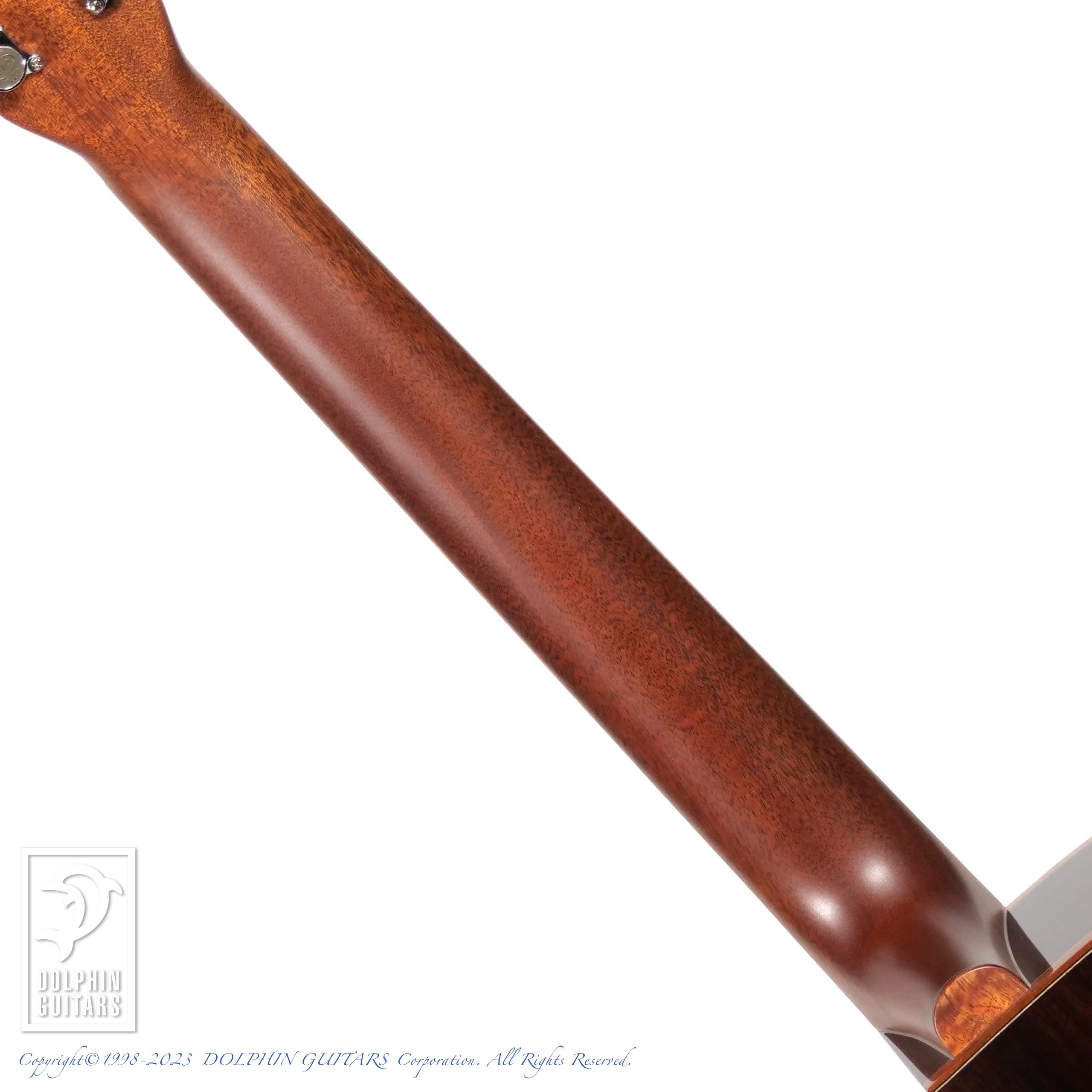 MORRIS S-131 - ドルフィンギターズ